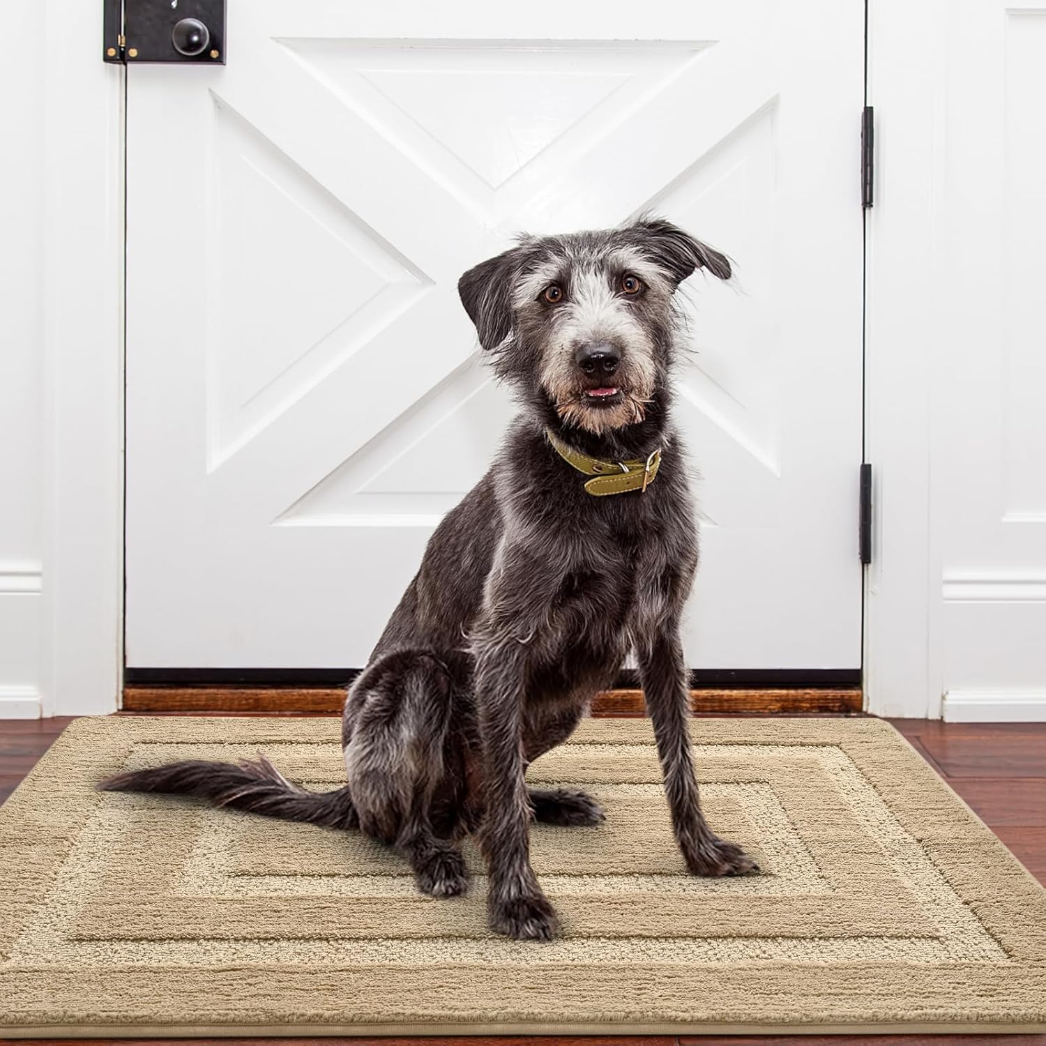 Amazon.com: Ompaa Indoor Door Mat, Dog Rugs for Muddy Paws, Mud Mats ...