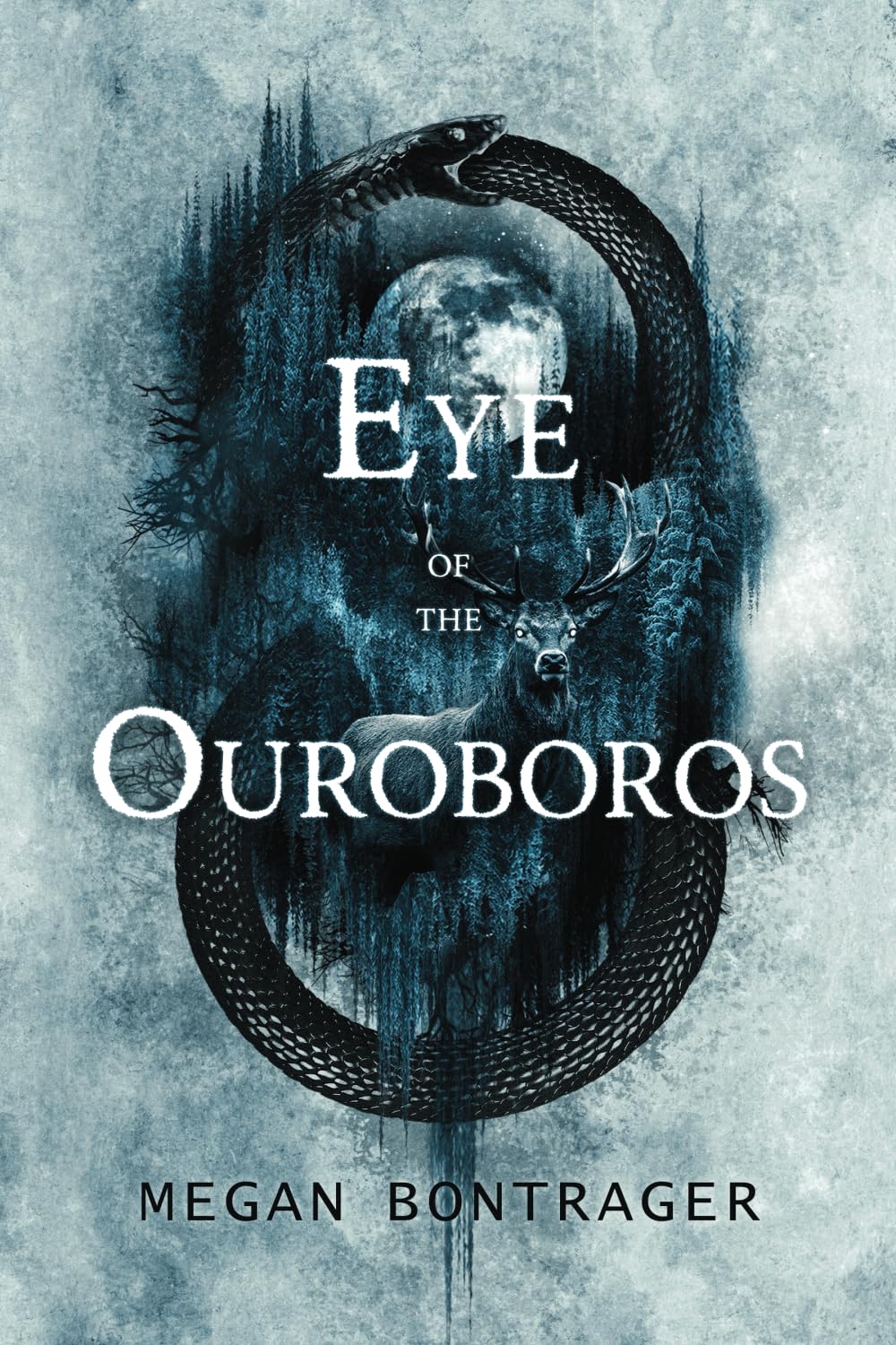 Amazon.com: Eye of the Ouroboros: 9781958228210: Bontrager, Megan: Books