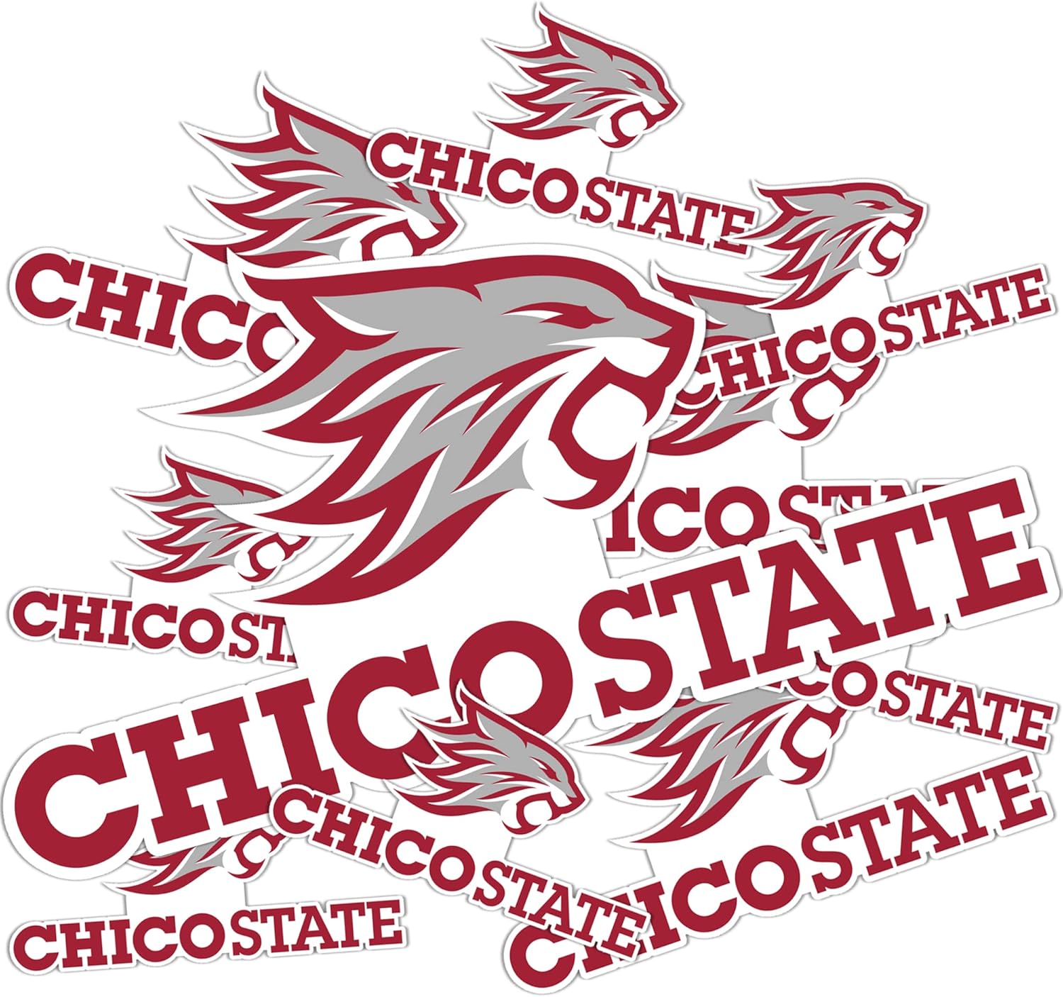 Amazon.com: Desert Cactus Cal State Chico University Sticker California ...