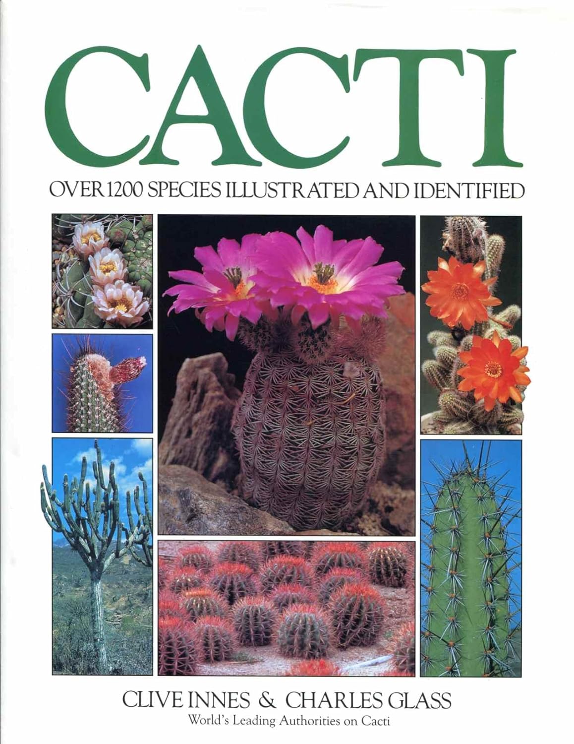 Cacti: Glass, Innes: 9780517056509: Amazon.com: Books