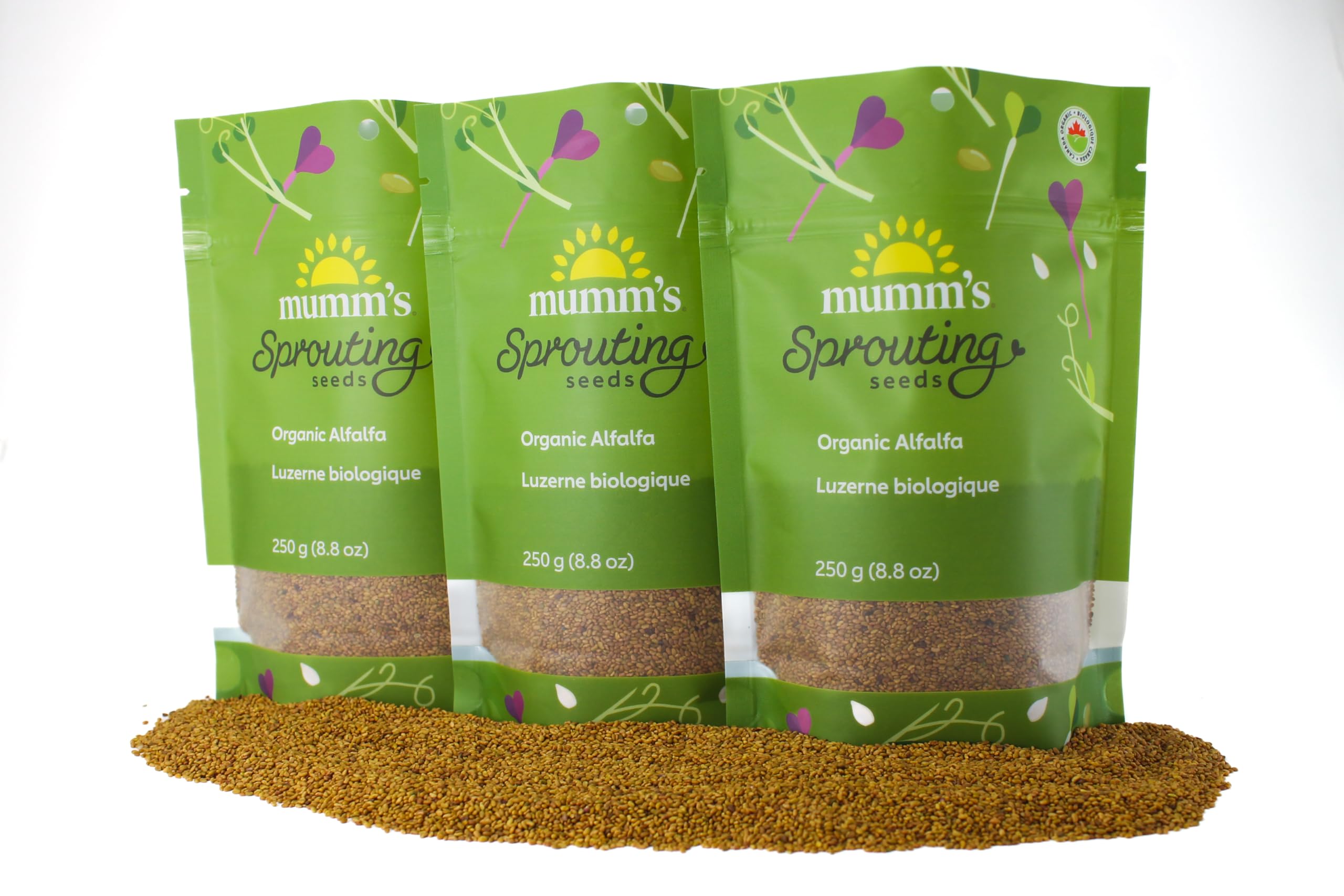 Mumm’s Sprouting Seeds – Alfalfa - Large Share Pack – Certified Organic ...
