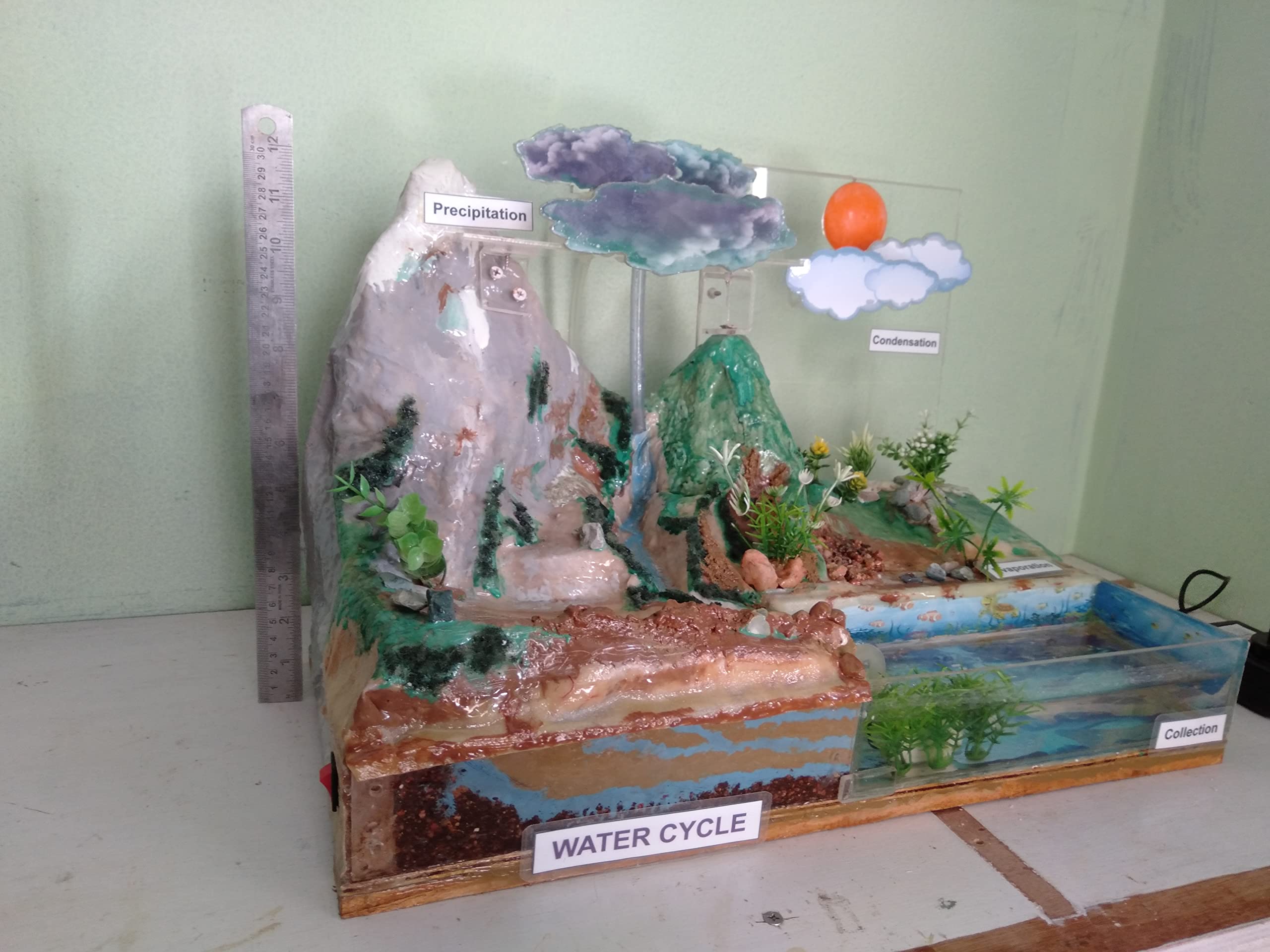 Water Cycle Working Model