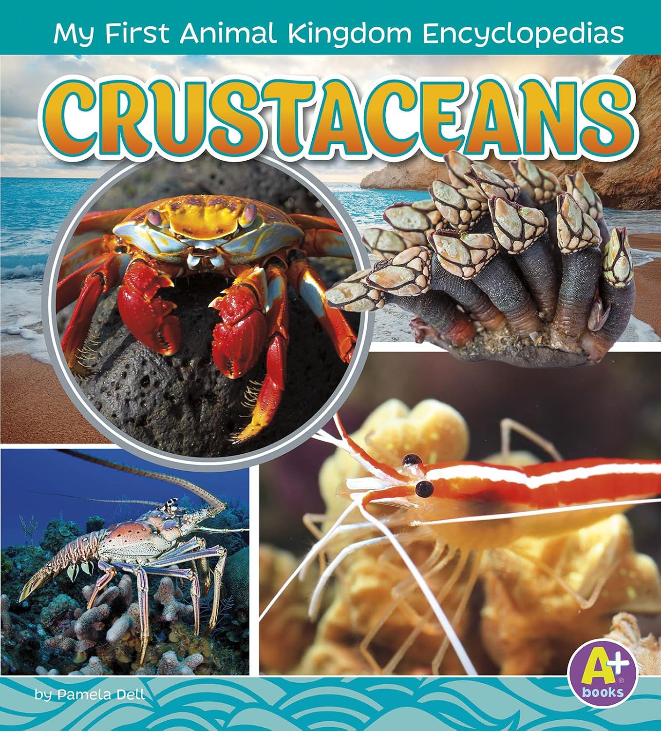Crustaceans (My First Animal Kingdom Encyclopedias): Berne, Emma ...