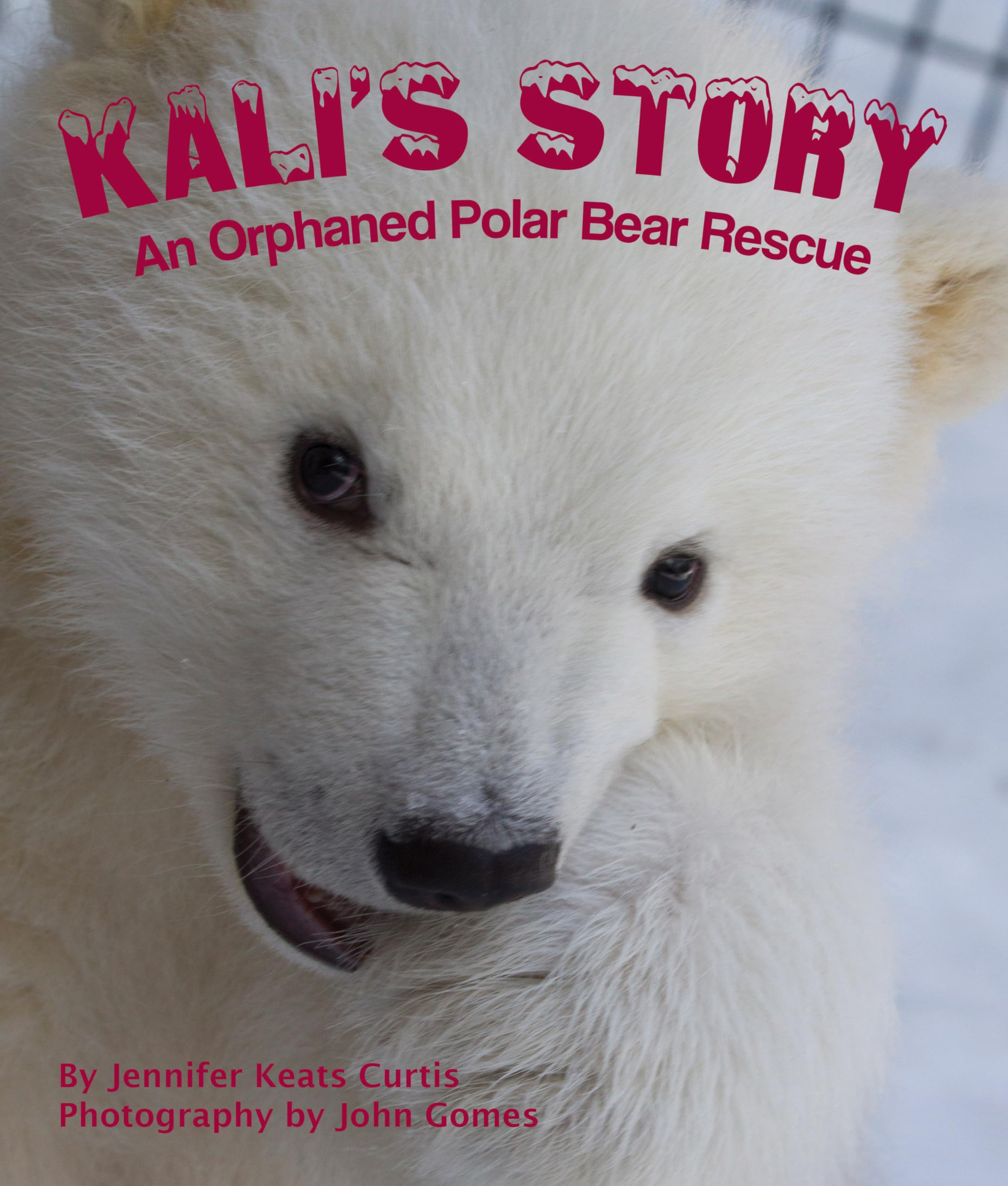 Kali's Story: An Orphaned Polar Bear Rescue: Jennifer Keats Curtis ...