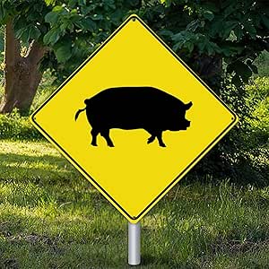 Amazon.com : Metal Sign Plaque Pig Xing Pig Crossing Warning Sign ...