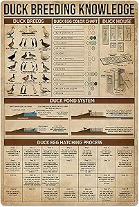 Amazon.com: Duck Breeding Knowledge Metal Tin Signs Duck Egg Color ...