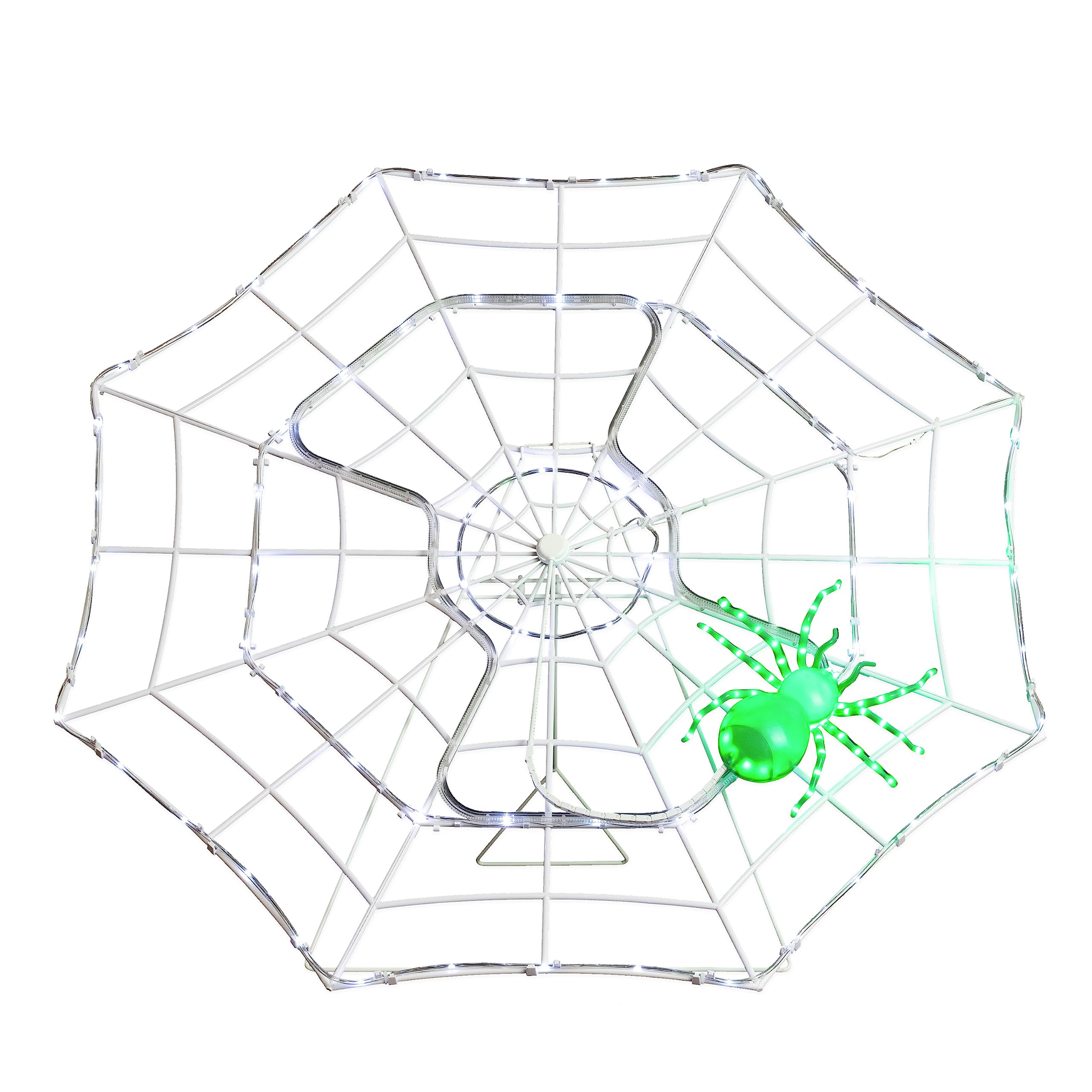 Animated Spider Web With Spider