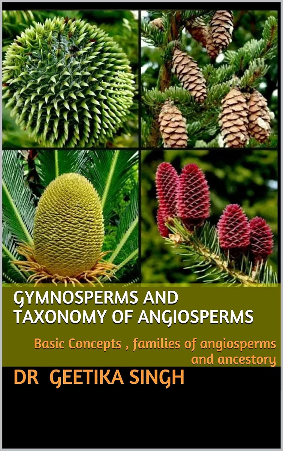Amazon.com: GYMNOSPERMS AND TAXONOMY OF ANGIOSPERMS: Basic Concepts ...