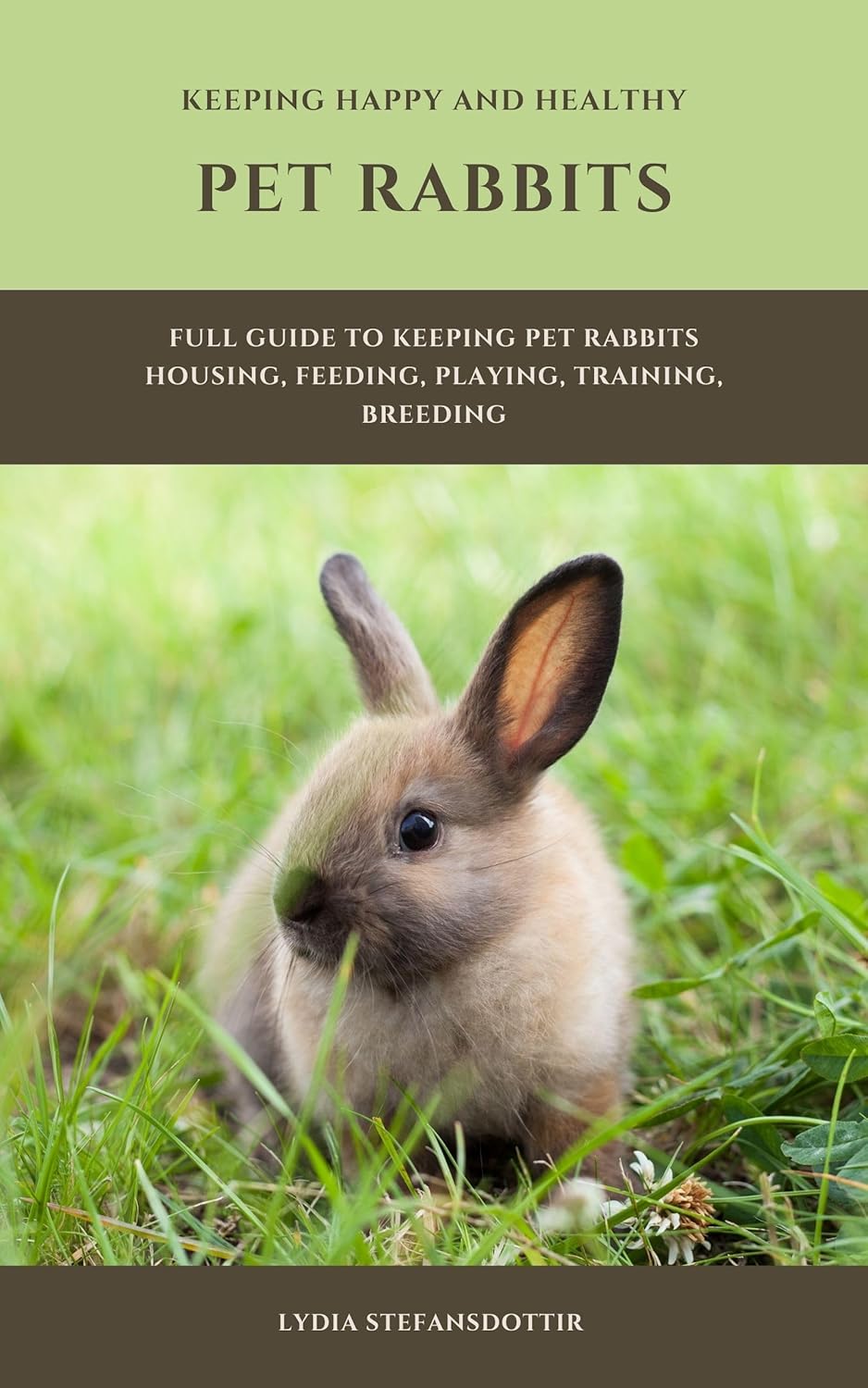Keeping Happy and Healthy Pet Rabbits: Full guide to living with pet ...