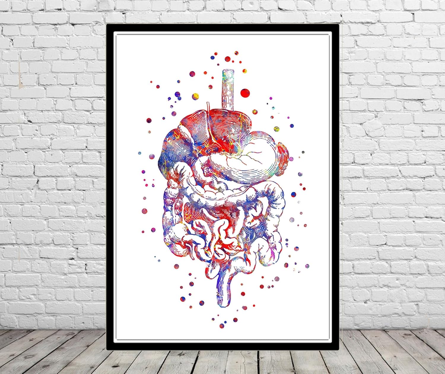 Amazon.com: Digestive system watercolor print anatomy art human organs ...