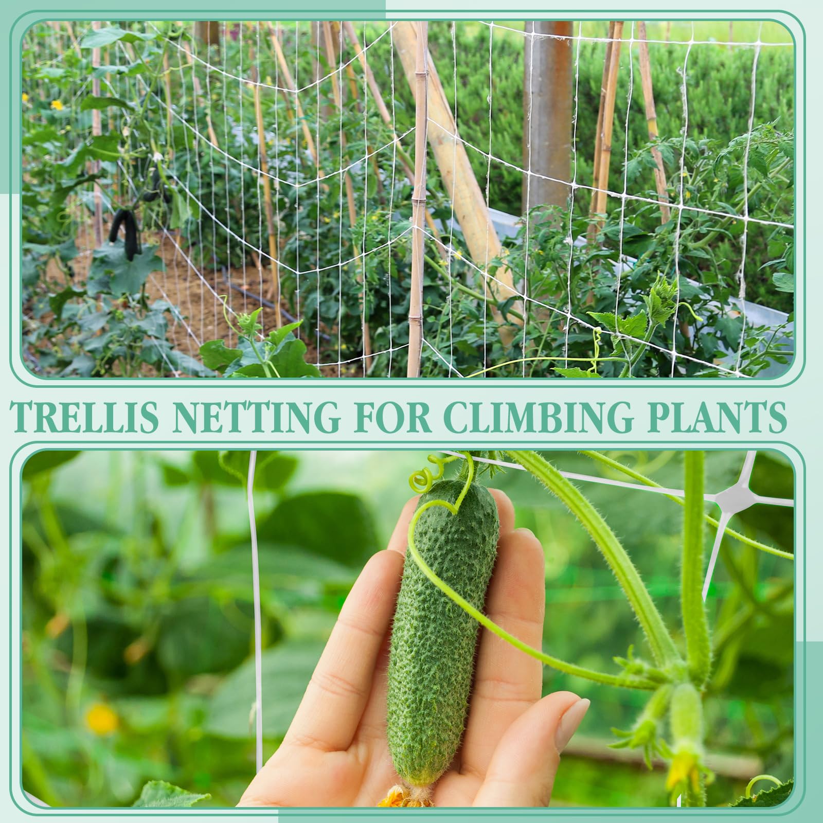 Snapklik.com : Berlune Heavy Duty Trellis Netting Roll 4ft X 4920ft ...