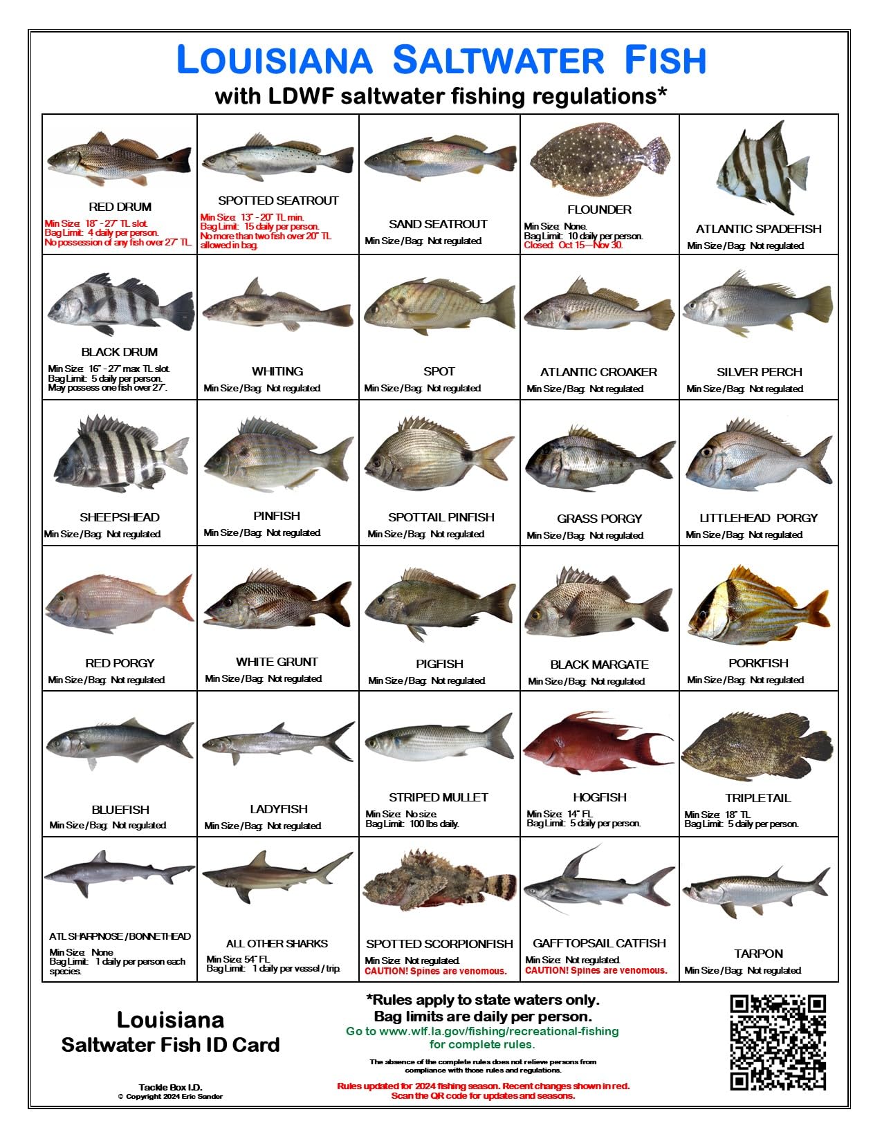 Buy Louisiana Saltwater Fish Identification Card Set - Three Waterproof ...