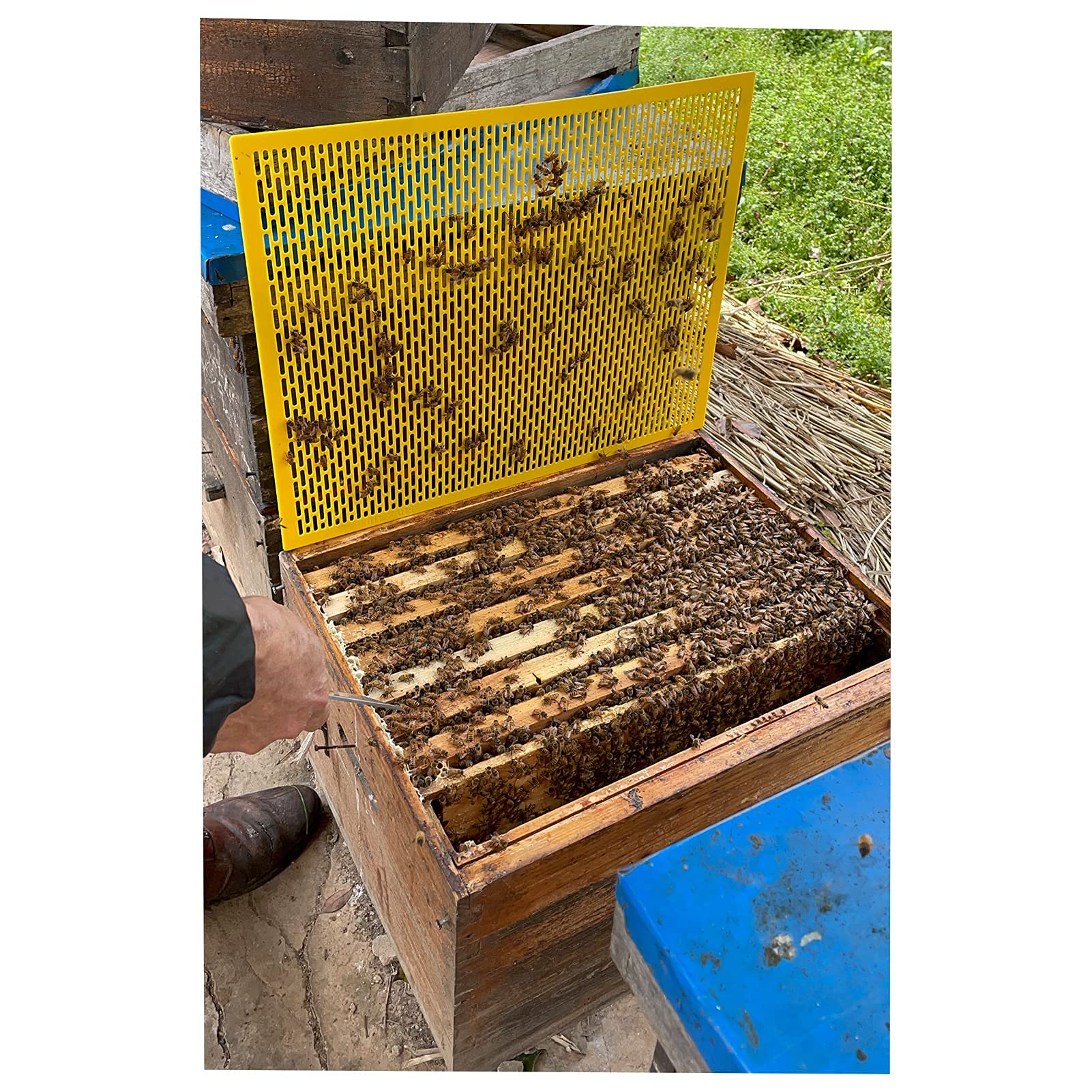 Beekeeping 6 Frame Queen Excluder -, 4PCS, Queen Bee Excluder ...