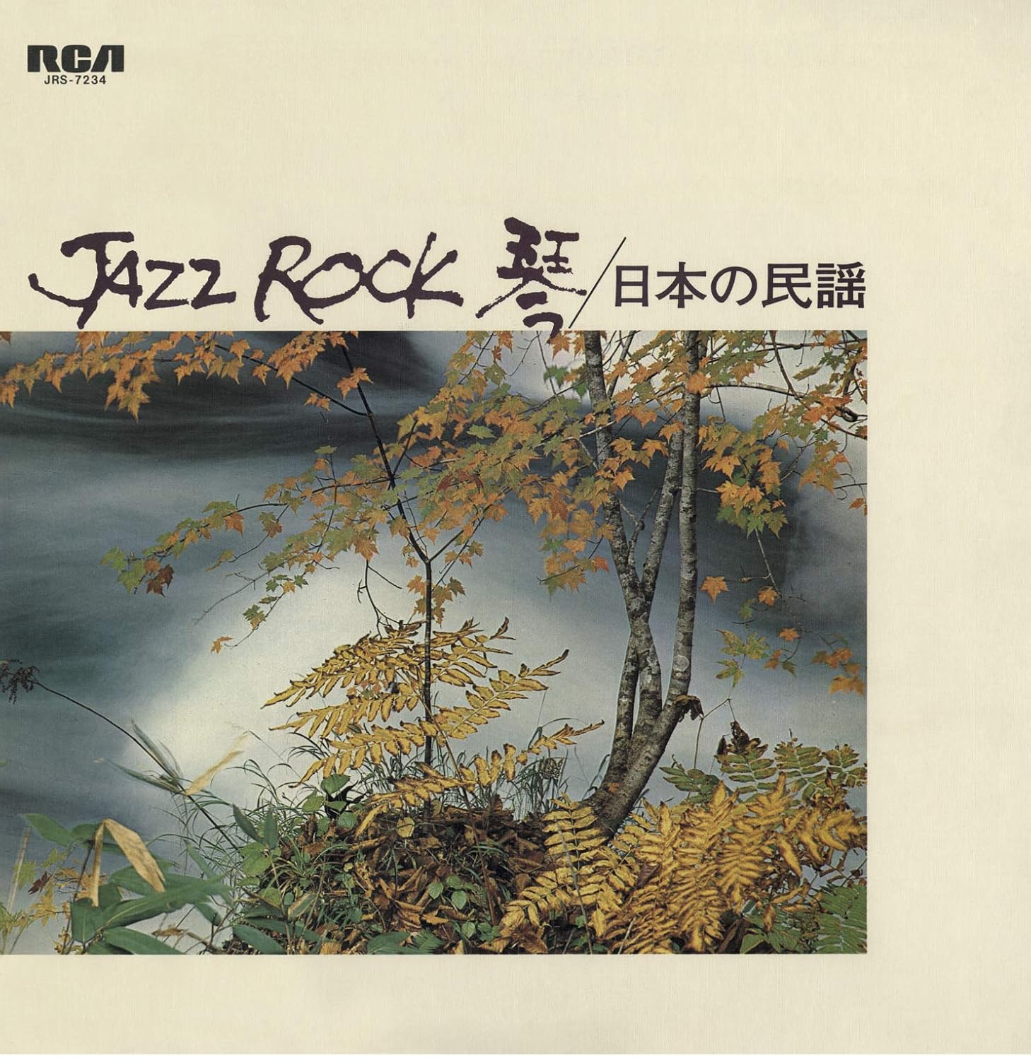 Amazon.com: Jazz Rock (Various Artists): CDs & Vinyl