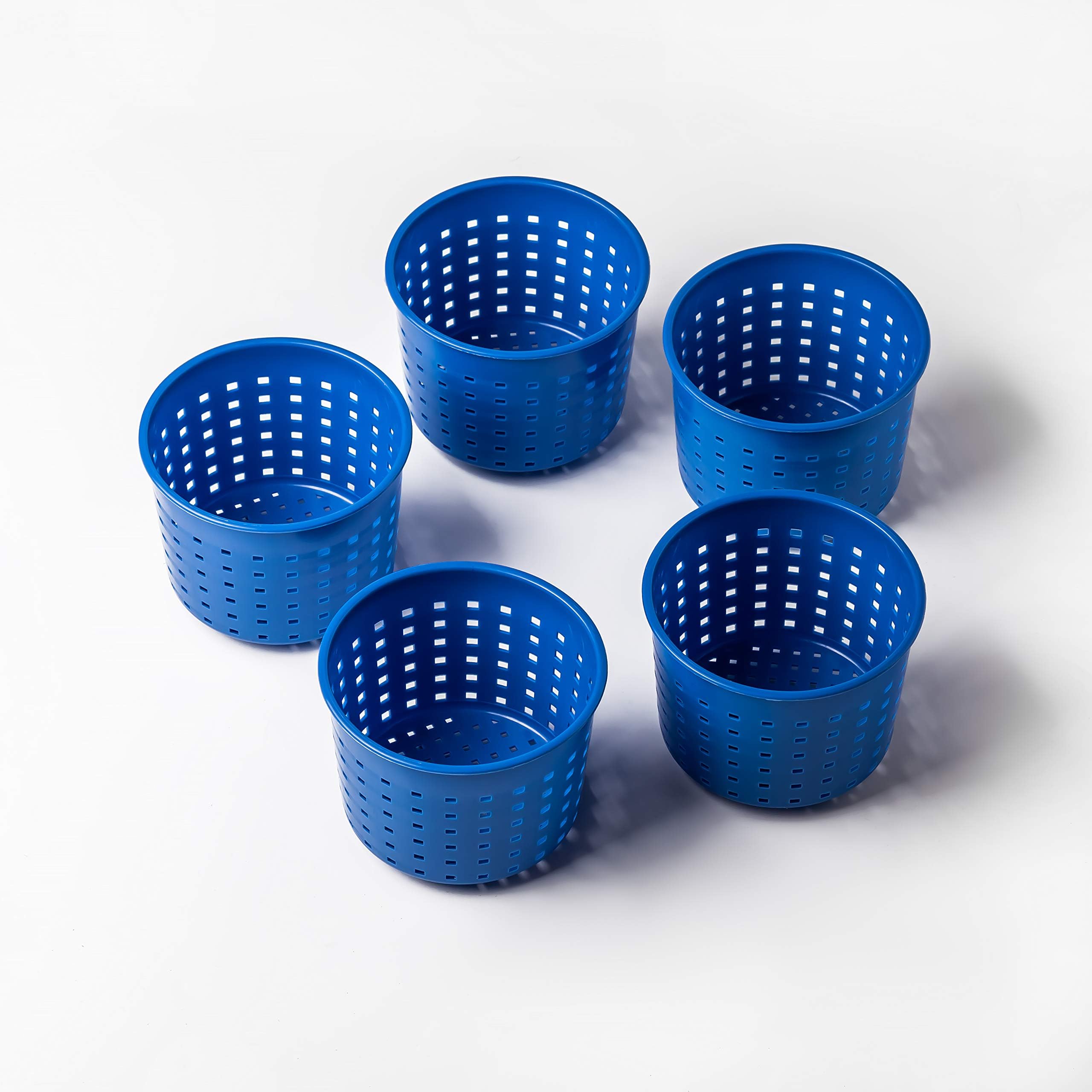 Amazon.com: Cheese making Cheese Molds For Soft Cheese Cheesemaking ...