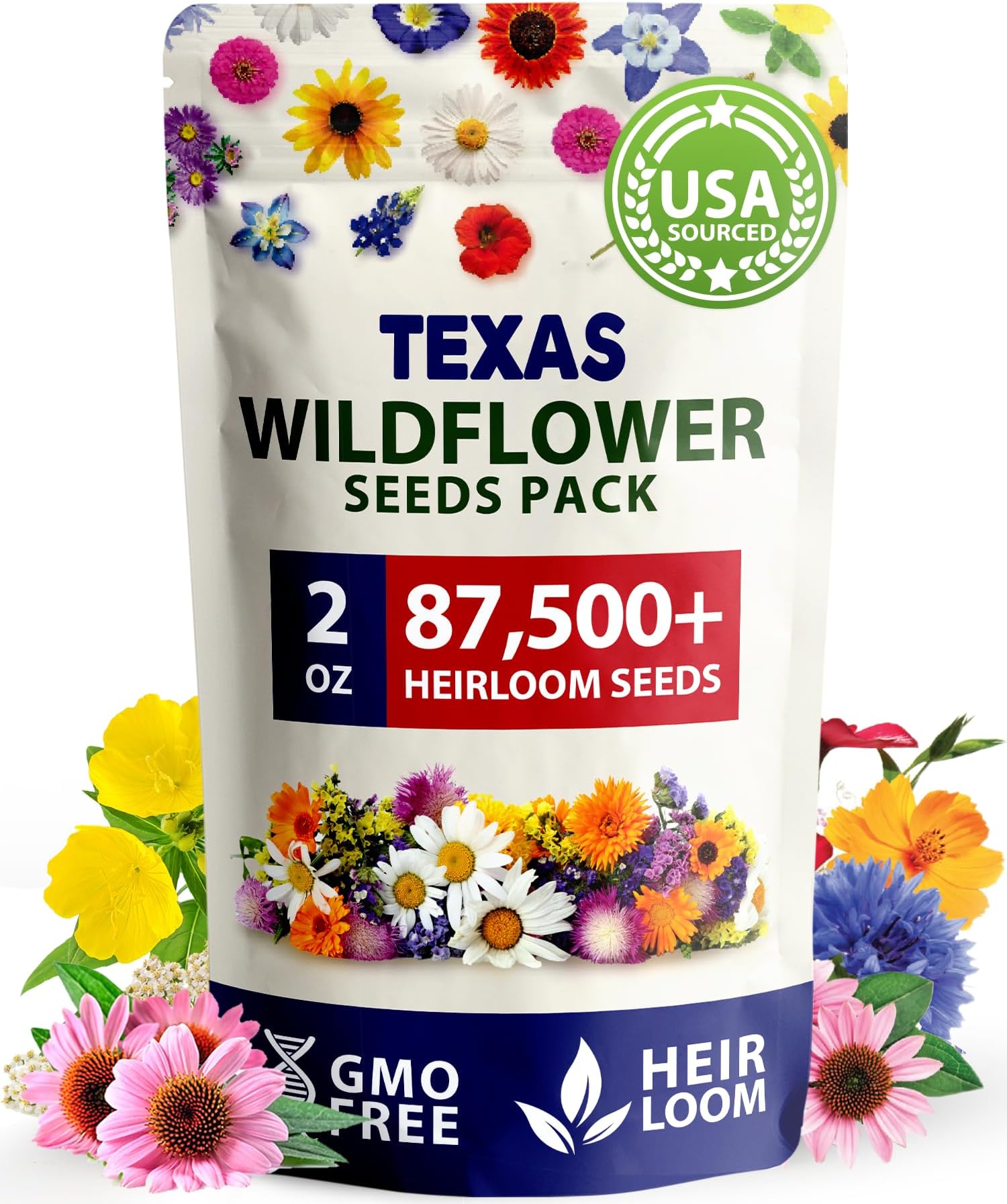 Amazon.com : MITRAEE 100 Texas Maroon Bluebonnet Flower Seeds : Patio ...