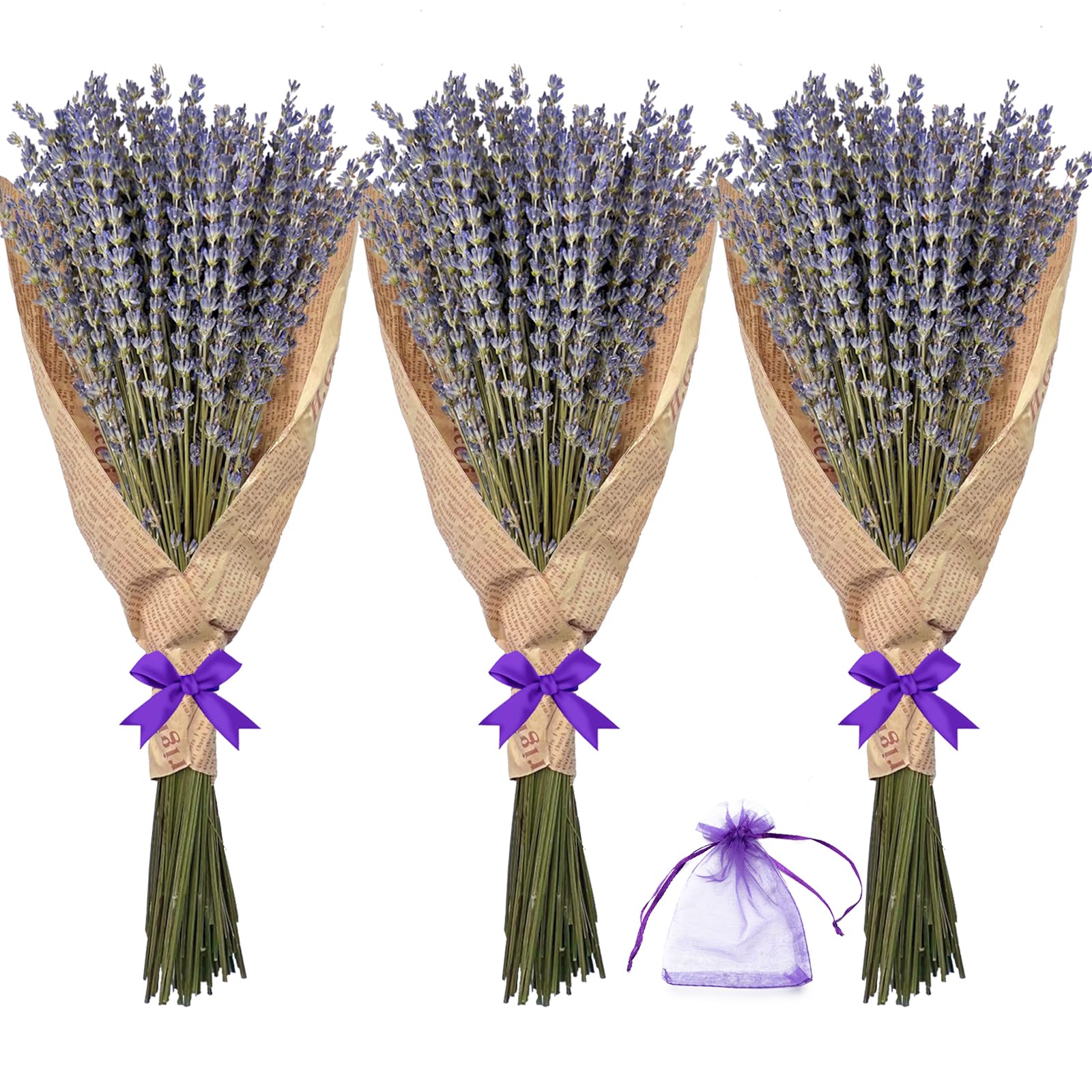 Amazon.com: Dried Lavender Flowers Bundles, Natural Dry Lavender ...