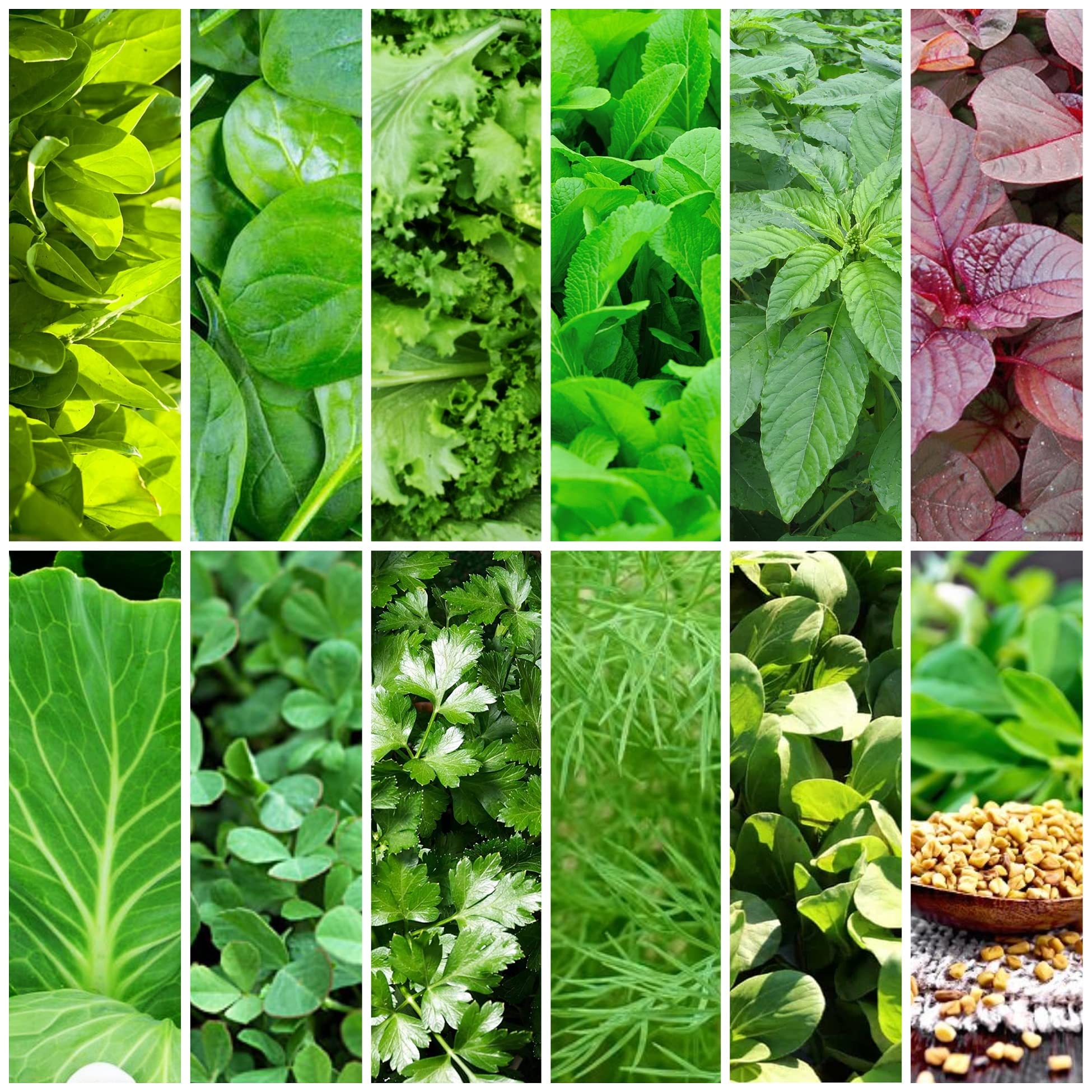 Green Leafy Vegetables Beyond Salad And Sabzi: 5 Healthy Ways To