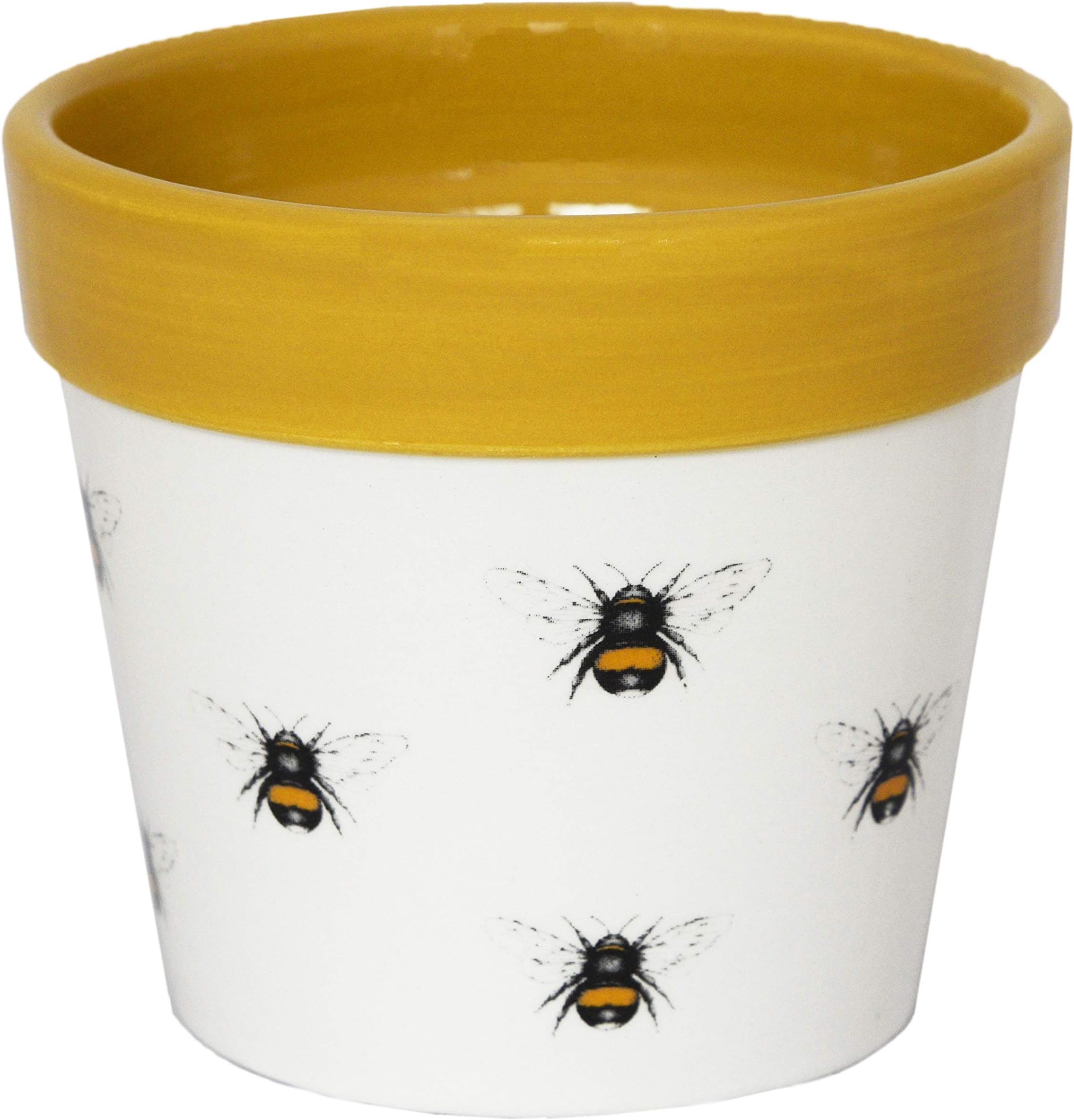 Sass & Belle Busy Bees Small Planter : Amazon.co.uk: Garden