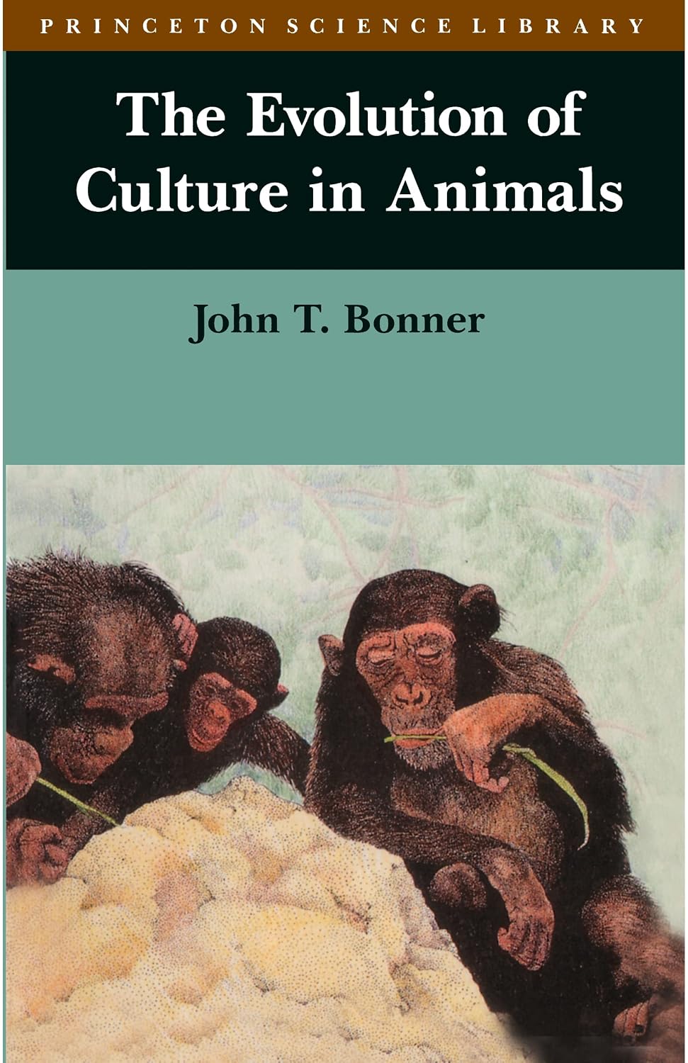 The Evolution of Culture in Animals: Bonner, John Tyler: 9780691023731 ...