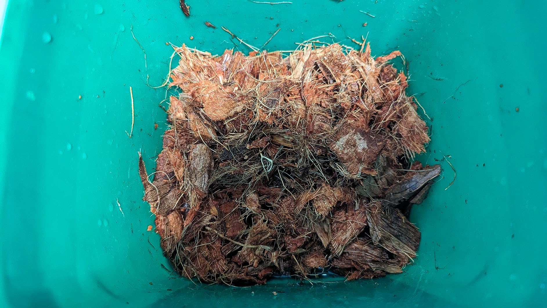 Exo Terra PT2775 Coco Husk - 8 Quart : Amazon.ca: Pet Supplies