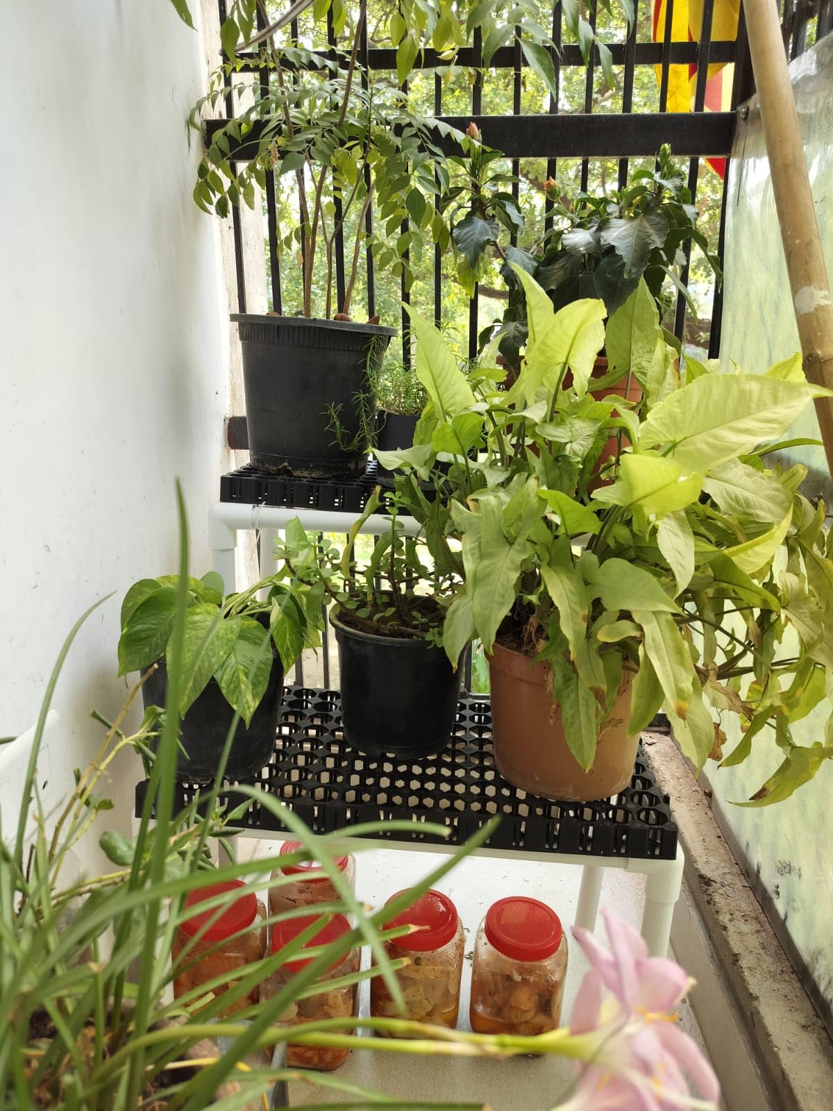 VEYYON Premium UPVC Pipe Plant Stand - 2 Stage, Suitable for HDPE Grow ...