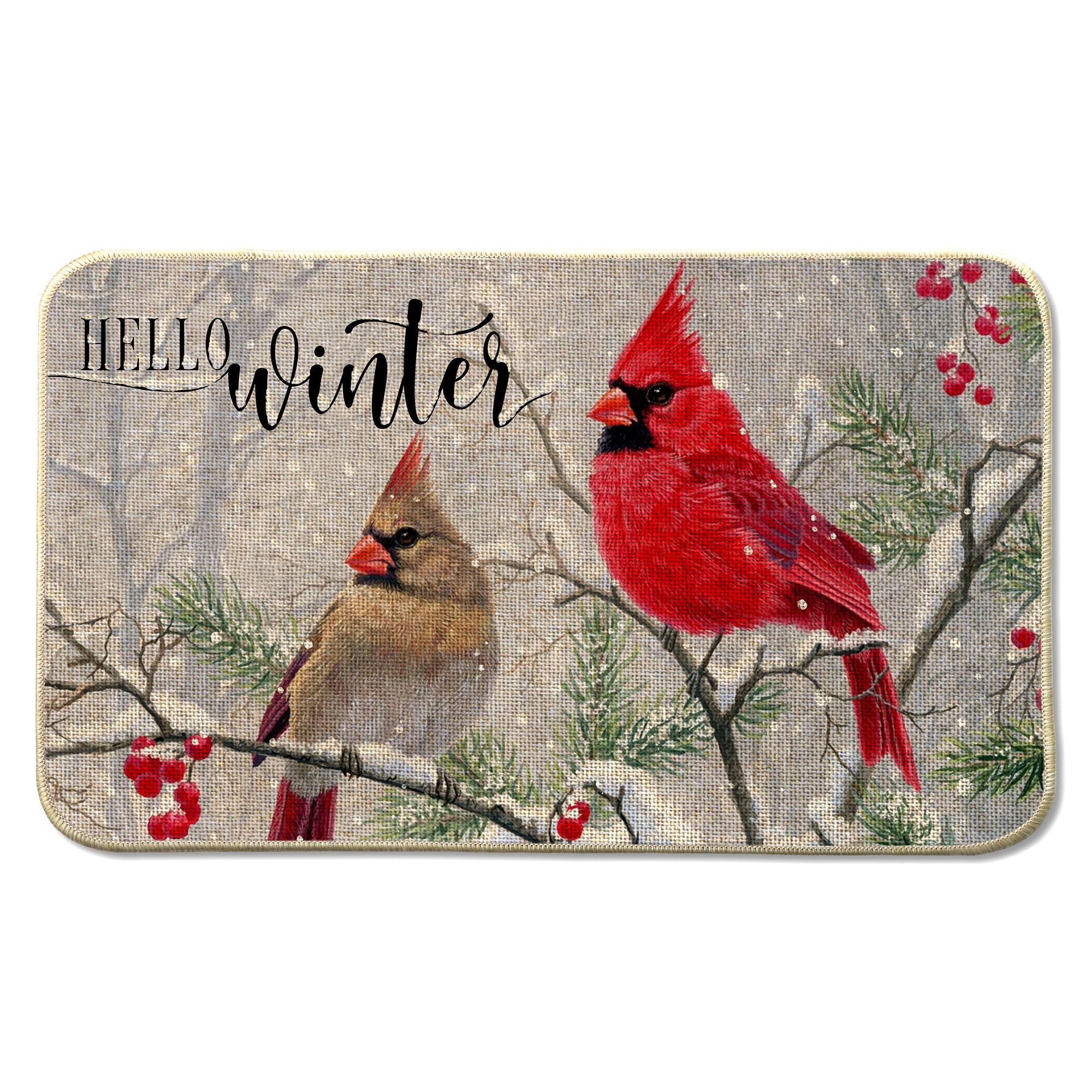 Amazon.com: SLEEPBED Winter Cardinal Bird Front Door Mat Indoor Outdoor ...