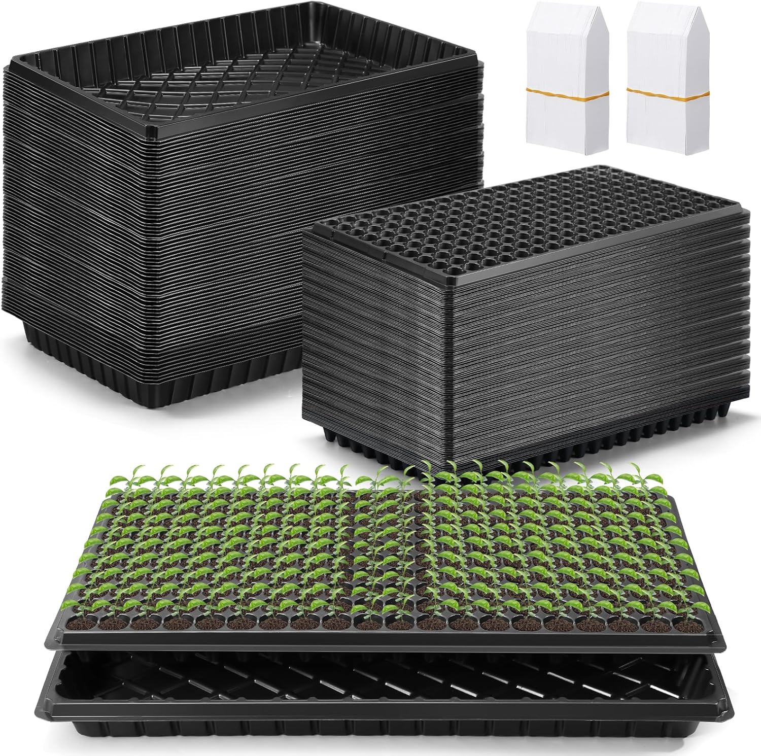 Amazon.com : Hushee 10 Pack Seed Starter Grow Tray Microgreens Growing ...