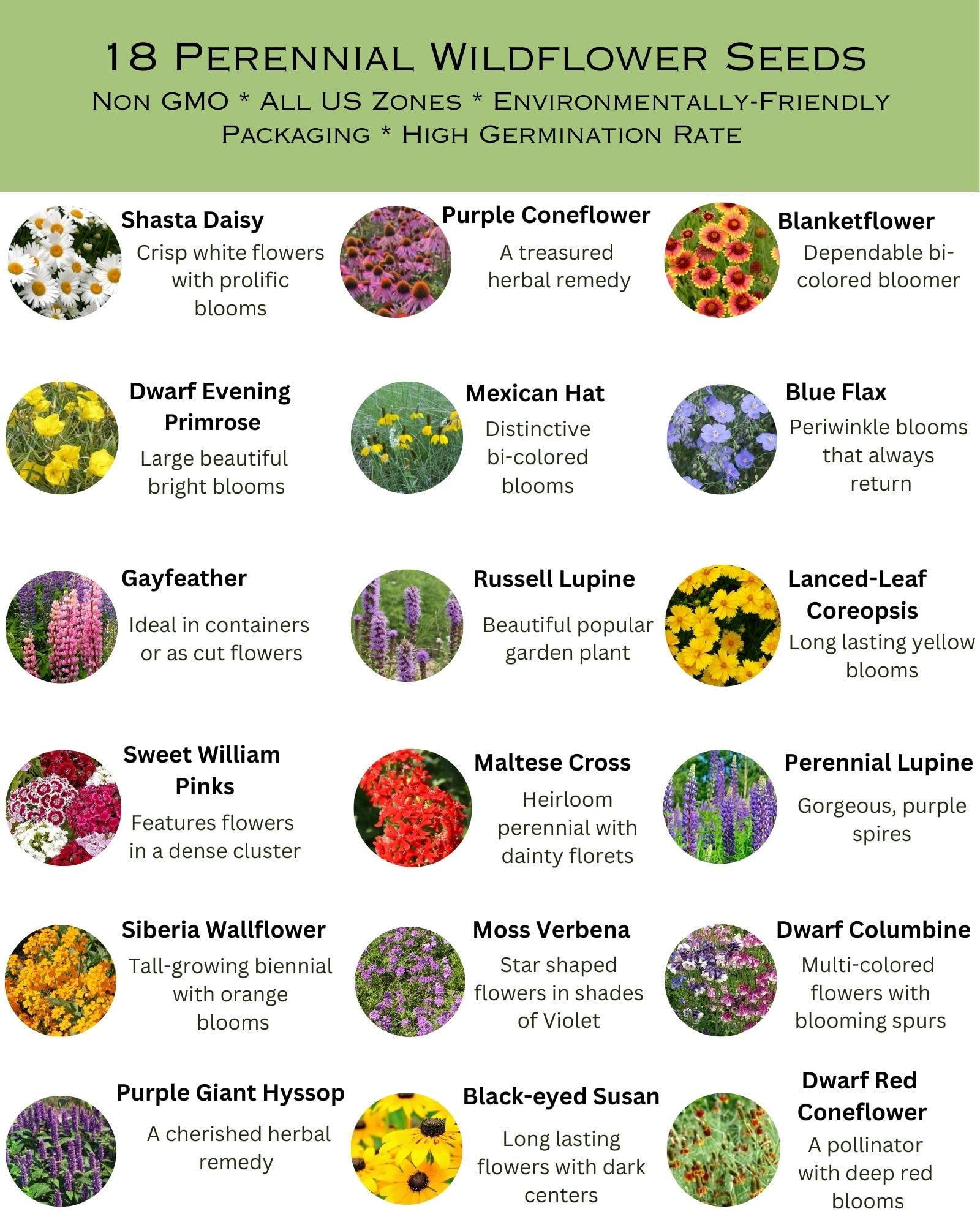 Gardening Zones For Wildflowers