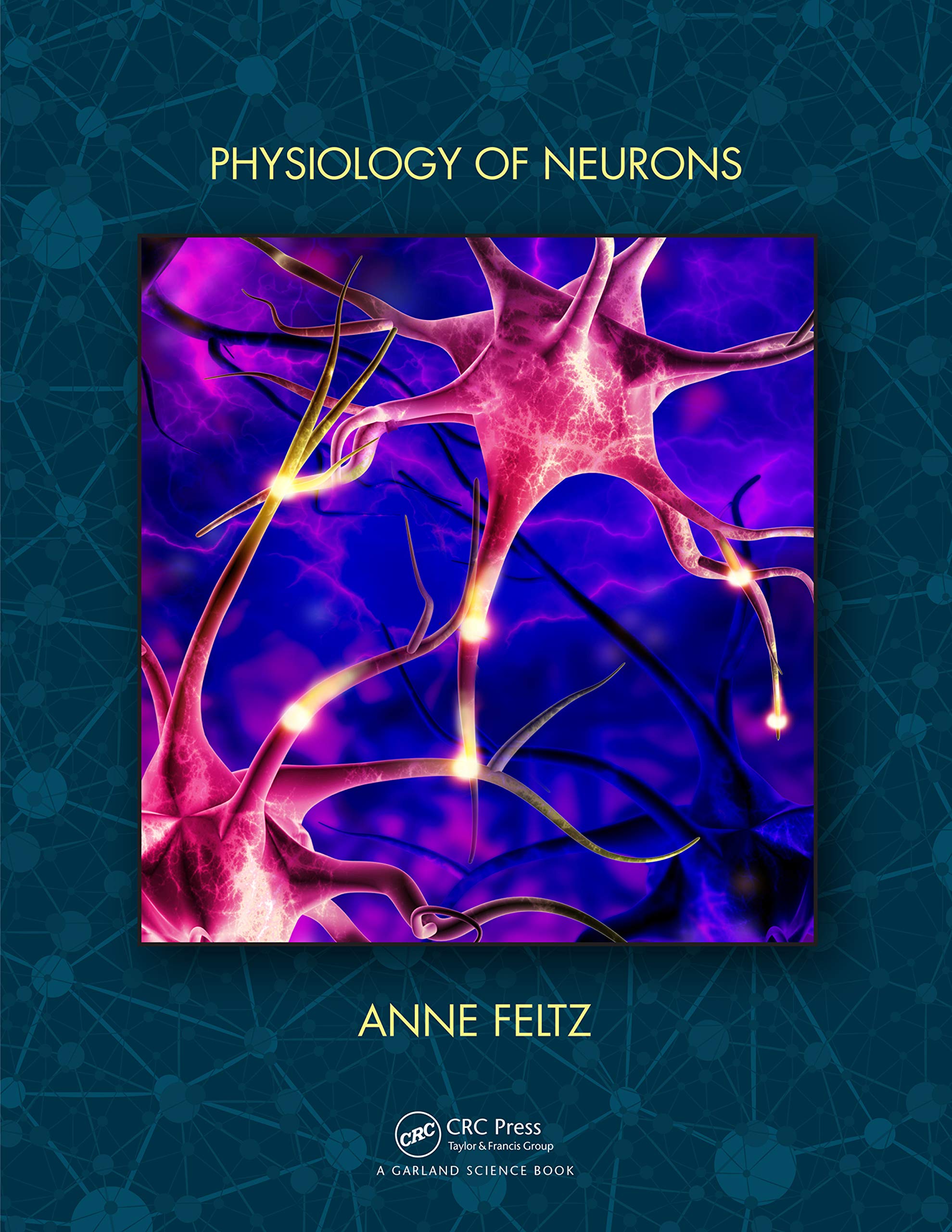 Physiology of Neurons: 9780367263751: Medicine & Health Science Books ...