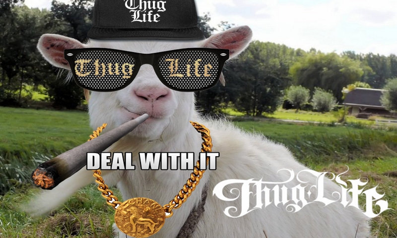Thug Life Cigarette