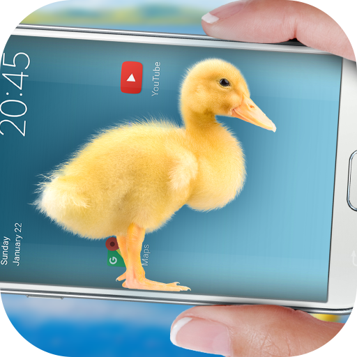 Duck in phone Quacking joke - App on Amazon Appstore