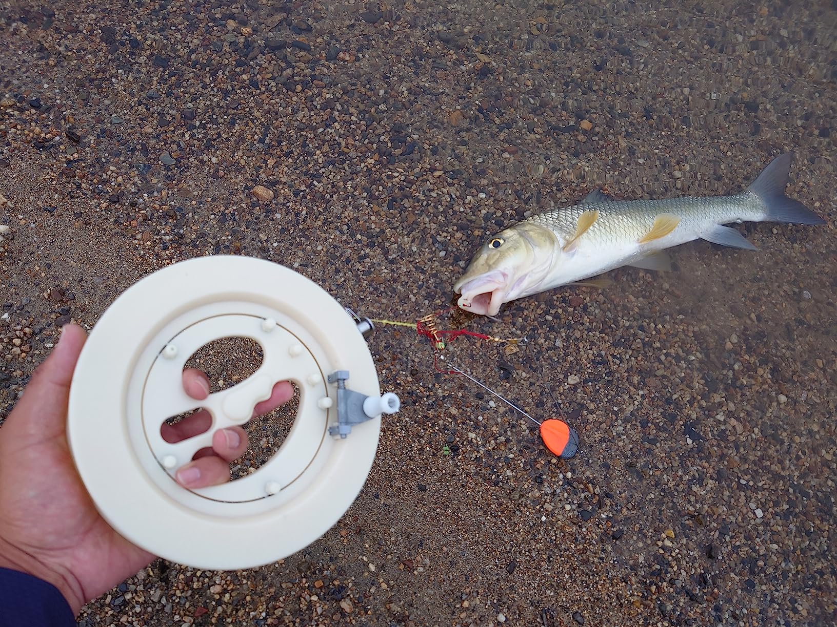 Amazon | TOMMYFIELD 糸巻き 糸巻機 手釣り 釣り 糸 リール タコ 手釣り 20cm | TOMMYFIELD | ライン巻