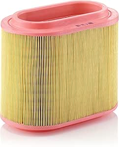 MANN-FILTER Original Air Filter C 24 196 – For Passenger Cars : Buy ...