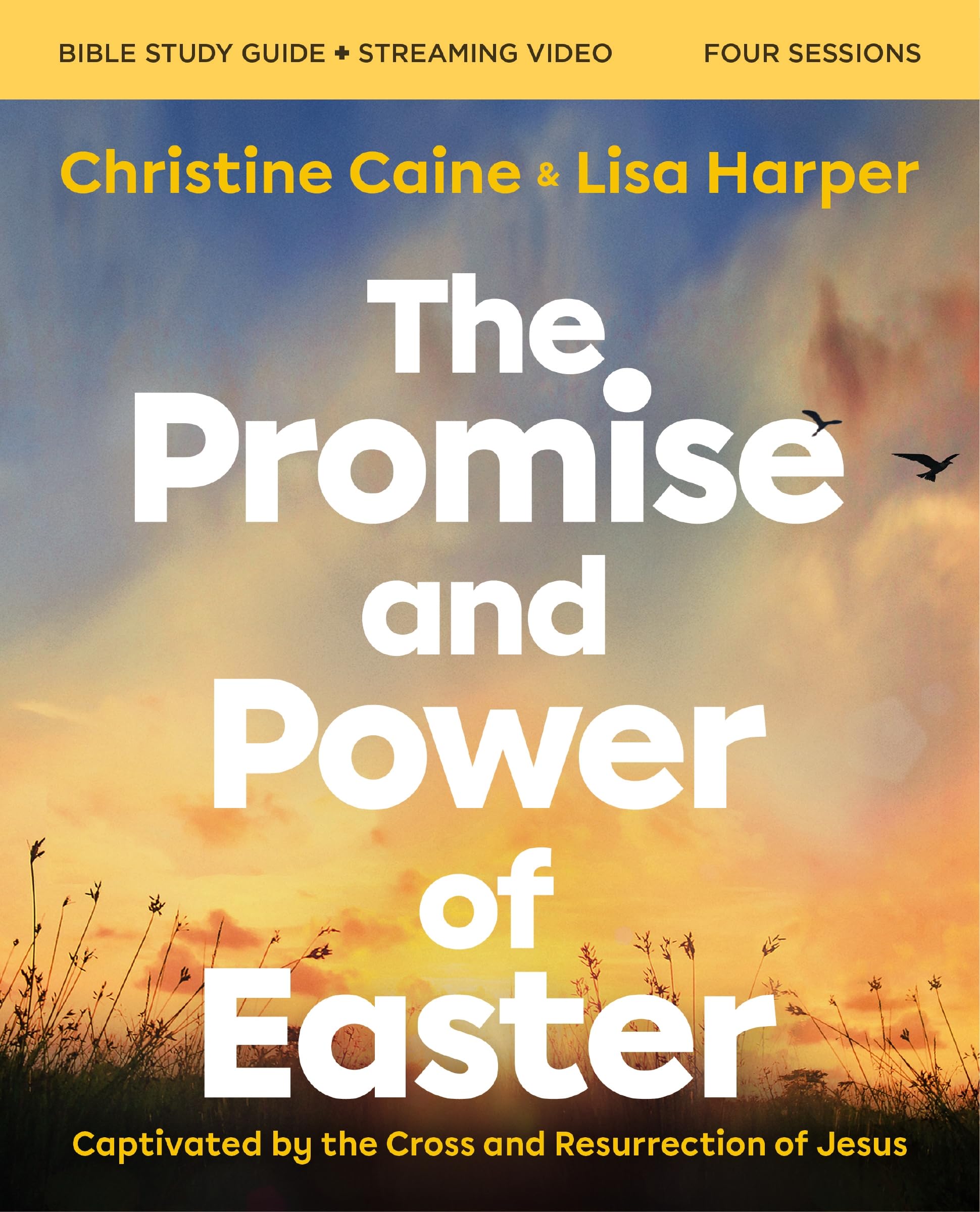 The Promise and Power of Easter Bible Study Guide plus Streaming Video: Captivated by the Cross ...