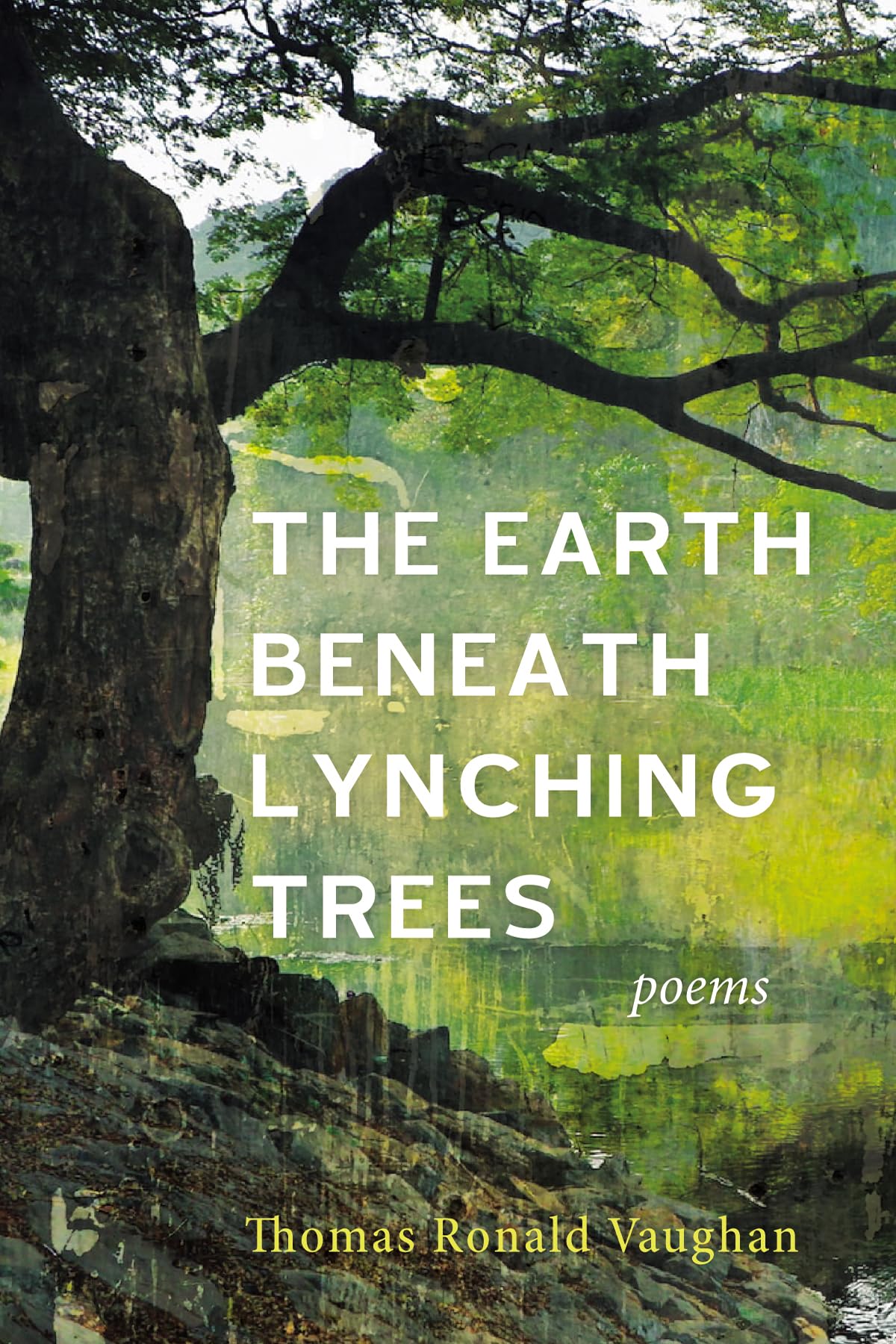 Amazon.com: The Earth beneath Lynching Trees: Poems: 9781666756777 ...