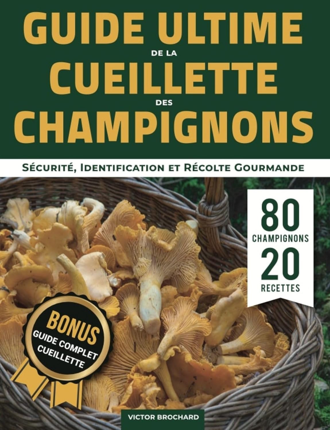 Guide Ultime de la Cueillette des Champignons: Sécurité, Identification ...