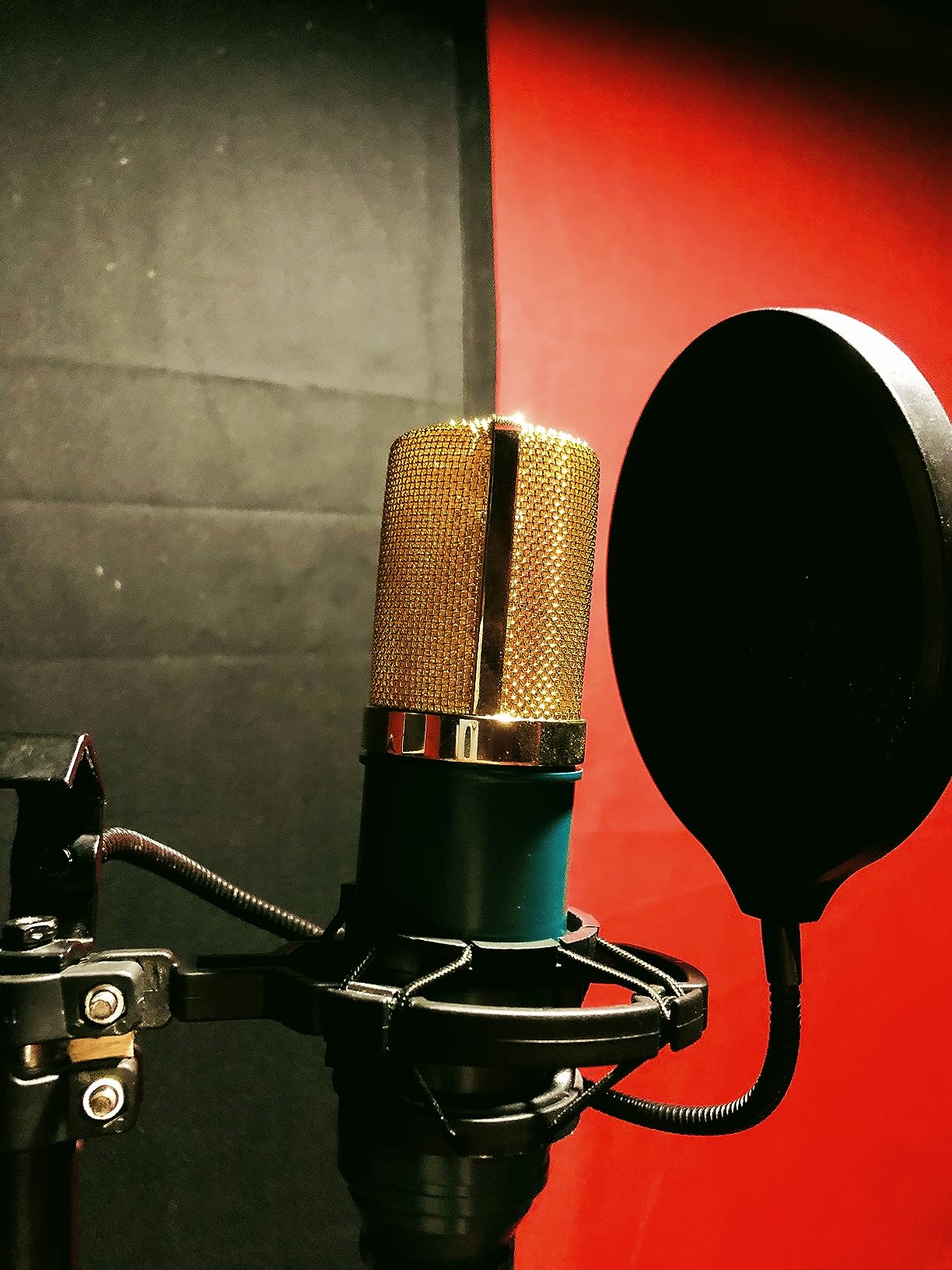 MXL Mics V67G Large Capsule Condenser Microphone, Gold/Green : Amazon ...