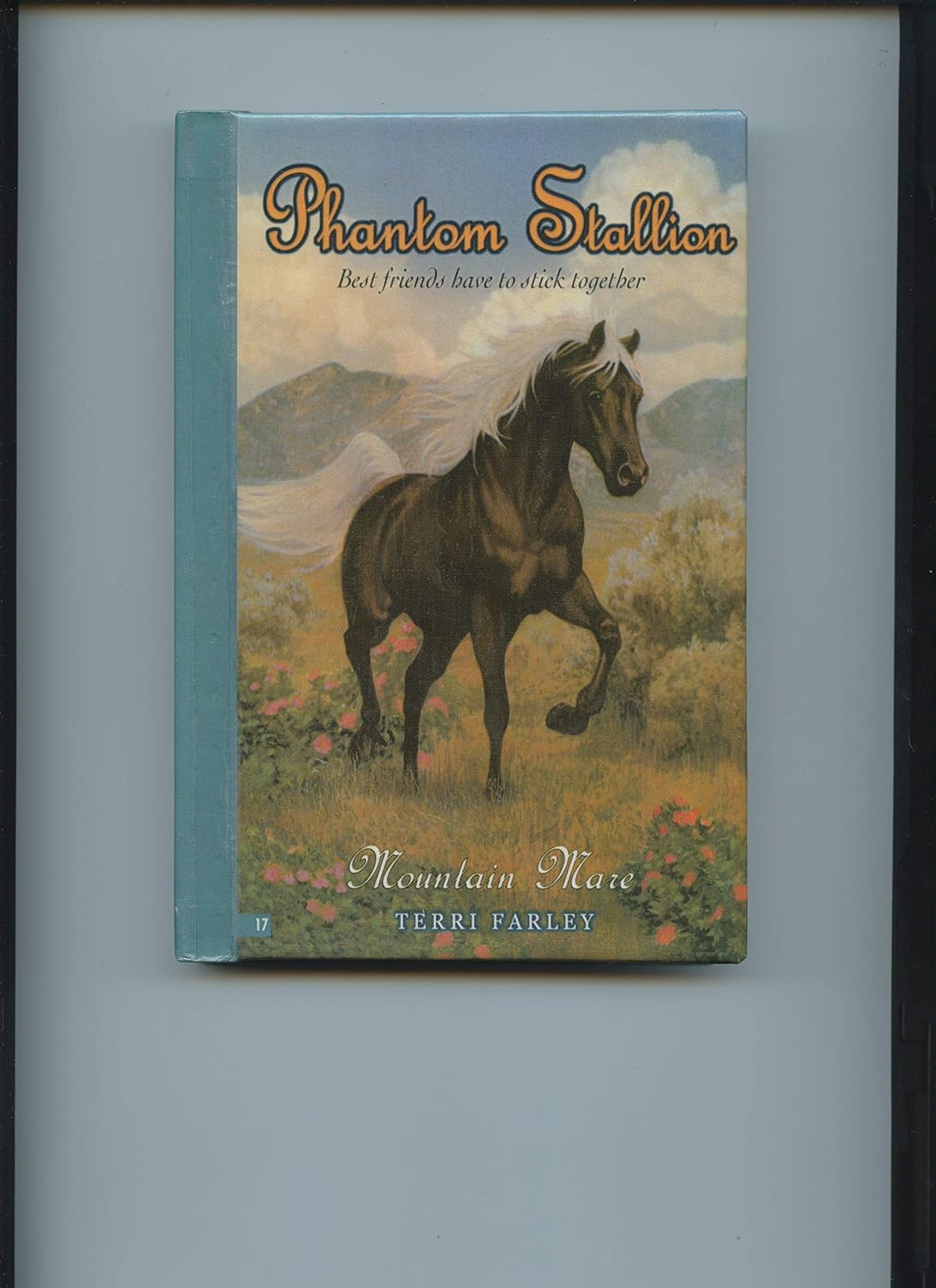 Amazon.com: Mountain Mare (Phantom Stallion): 9781424208340: Farley ...