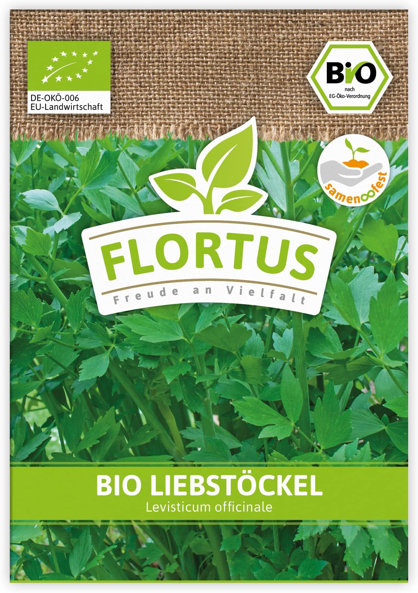 Liebstock Maggikraut Samen - Levisticum officinale - Liebstocksamen ...