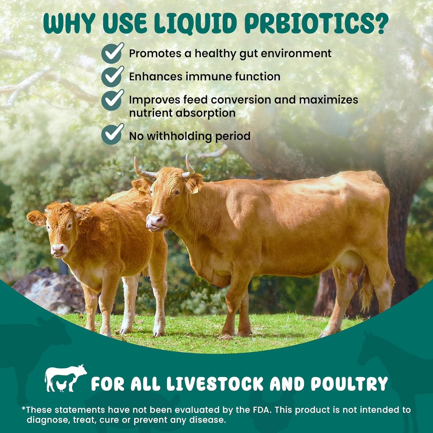 SCD Bio Livestock Probiotic Supplement - Organic Algeria | Ubuy
