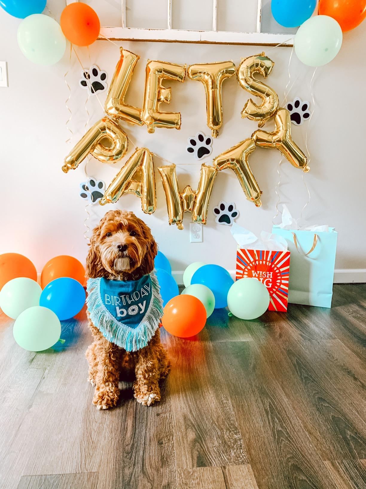 Amazon.com: Dog Party Decorations - Lets Pawty Balloons Banner, Paw ...
