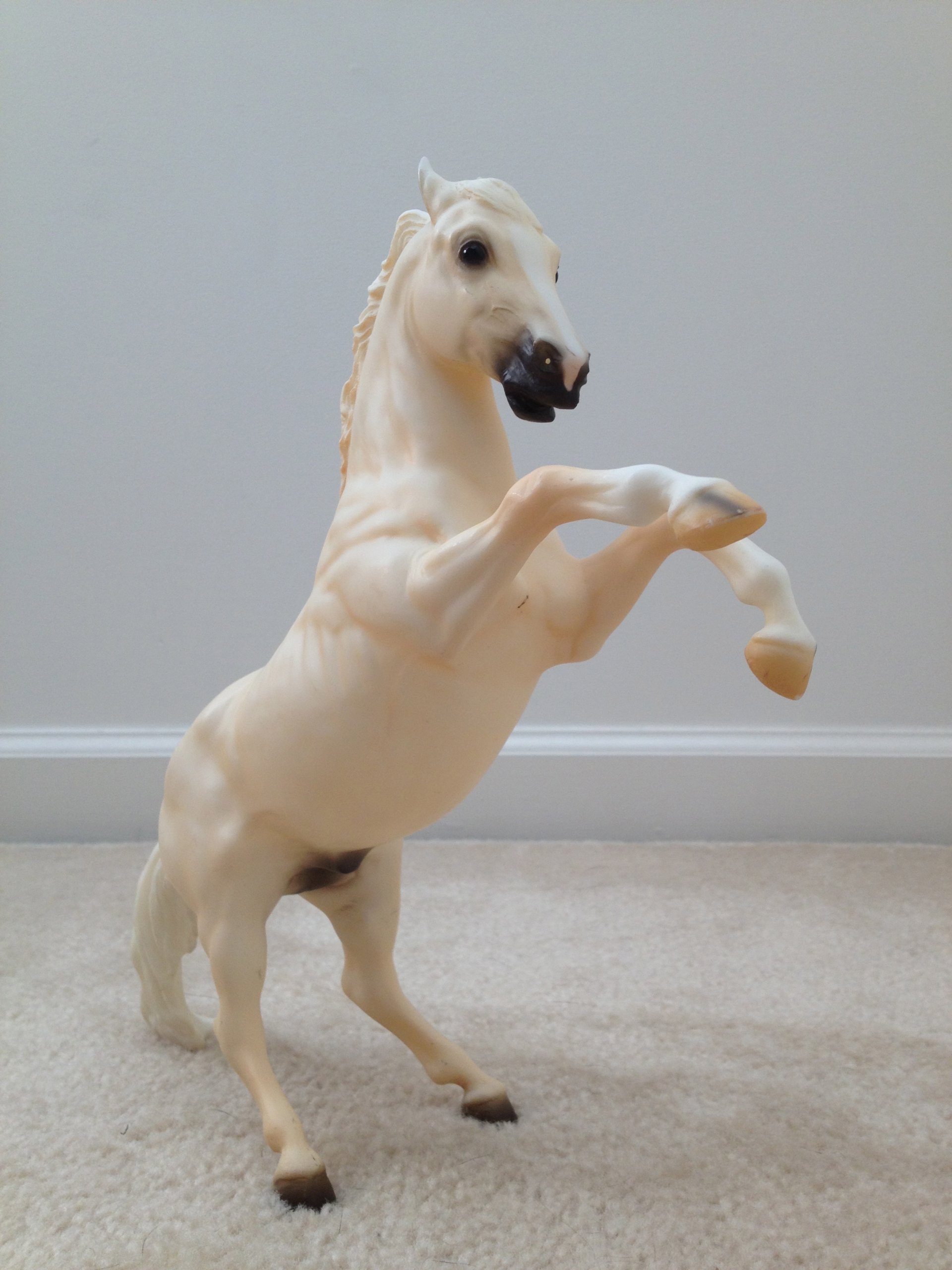 Palomino Horse Rearing