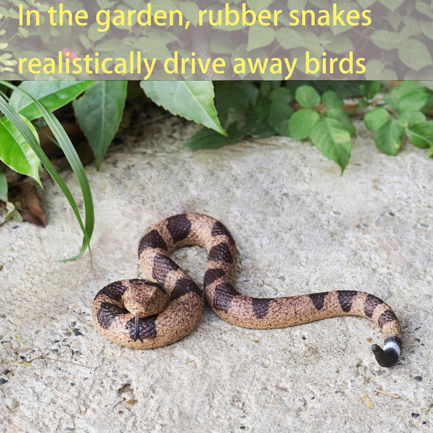 s Realistic Keep Birds Away Fake Snakes Realistic Keep Birds Away ...