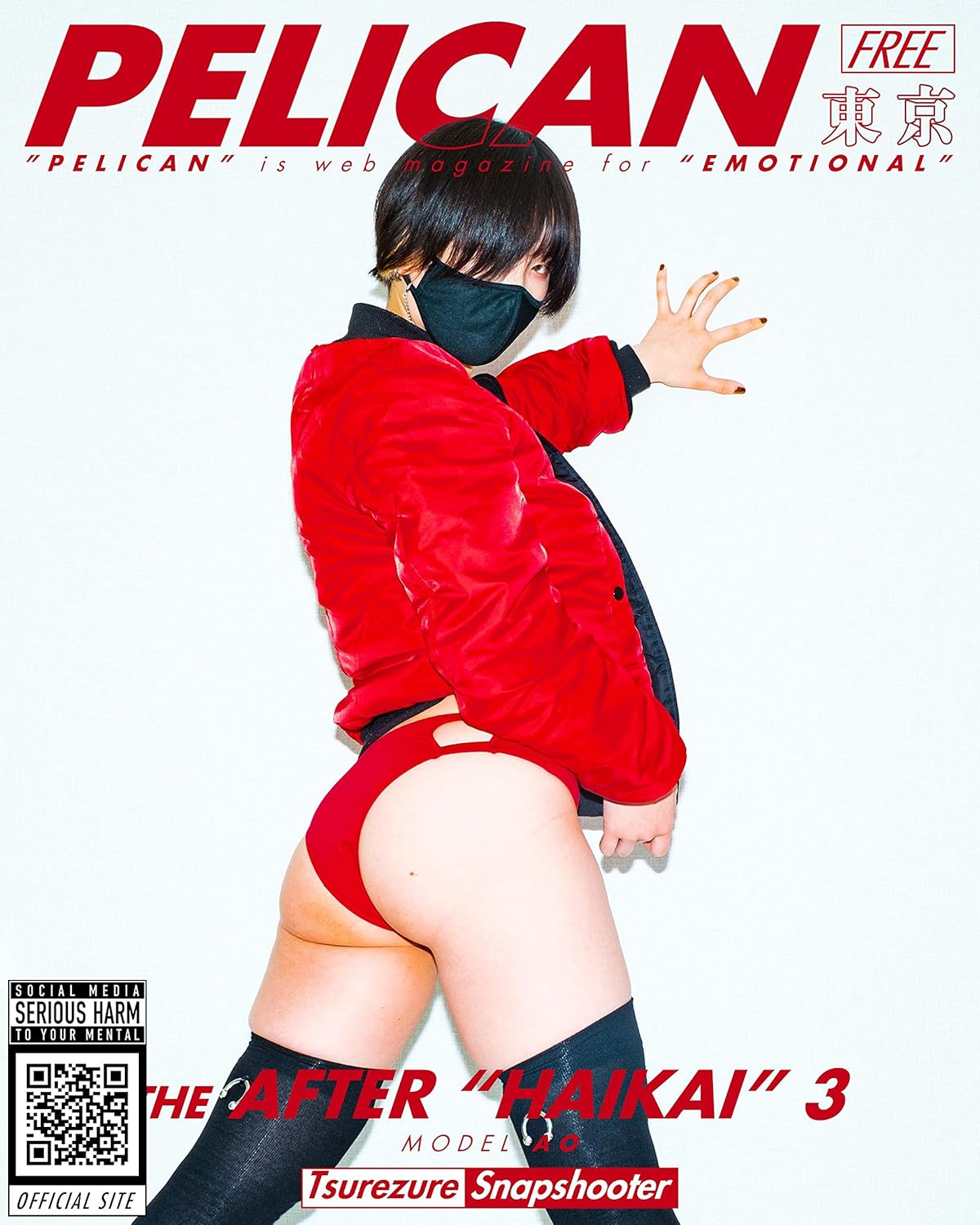 Amazon.co.jp: PELICAN: #29 THE AFTER “HAIKAI” SERIES 3 (Tsurezure Little Press) eBook ...