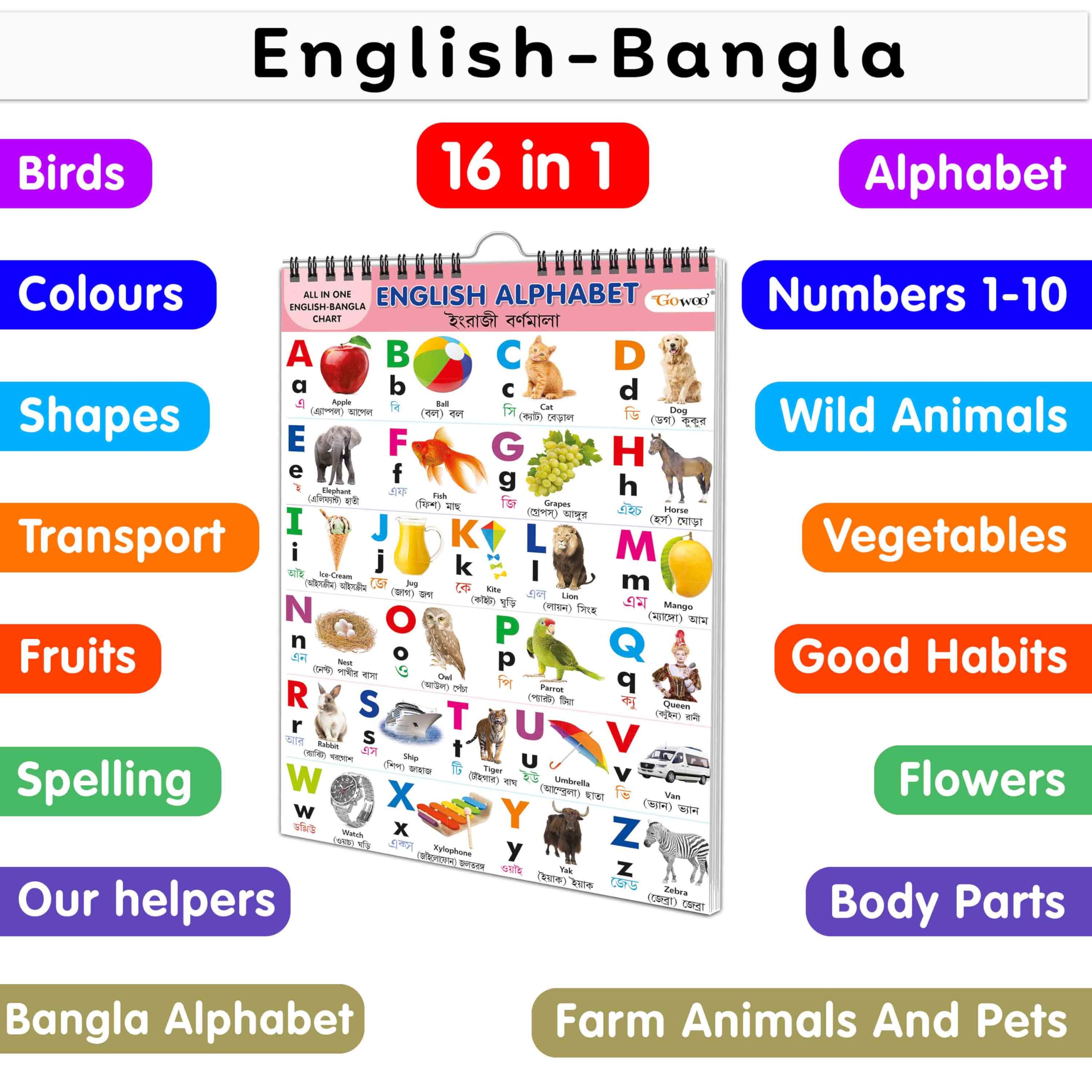 Buy My First ALL IN ONE SPIRAL CHART ENGLISH-BANGLA : With 16 Topics ...