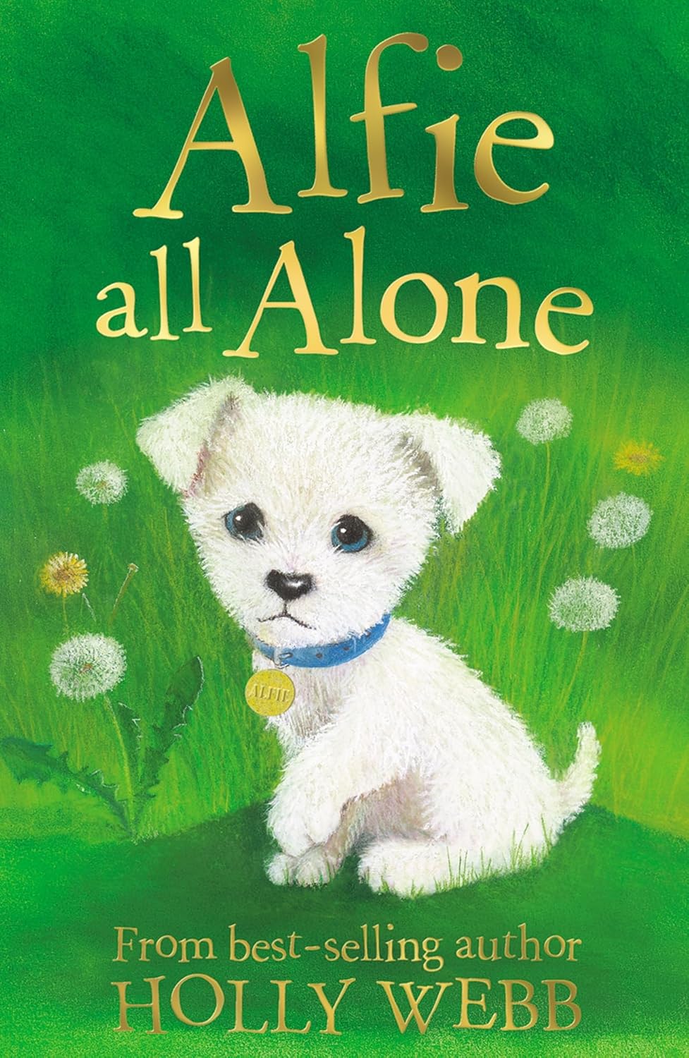 Alfie All Alone: Holly Webb: 9781847150158: Books - Amazon.ca
