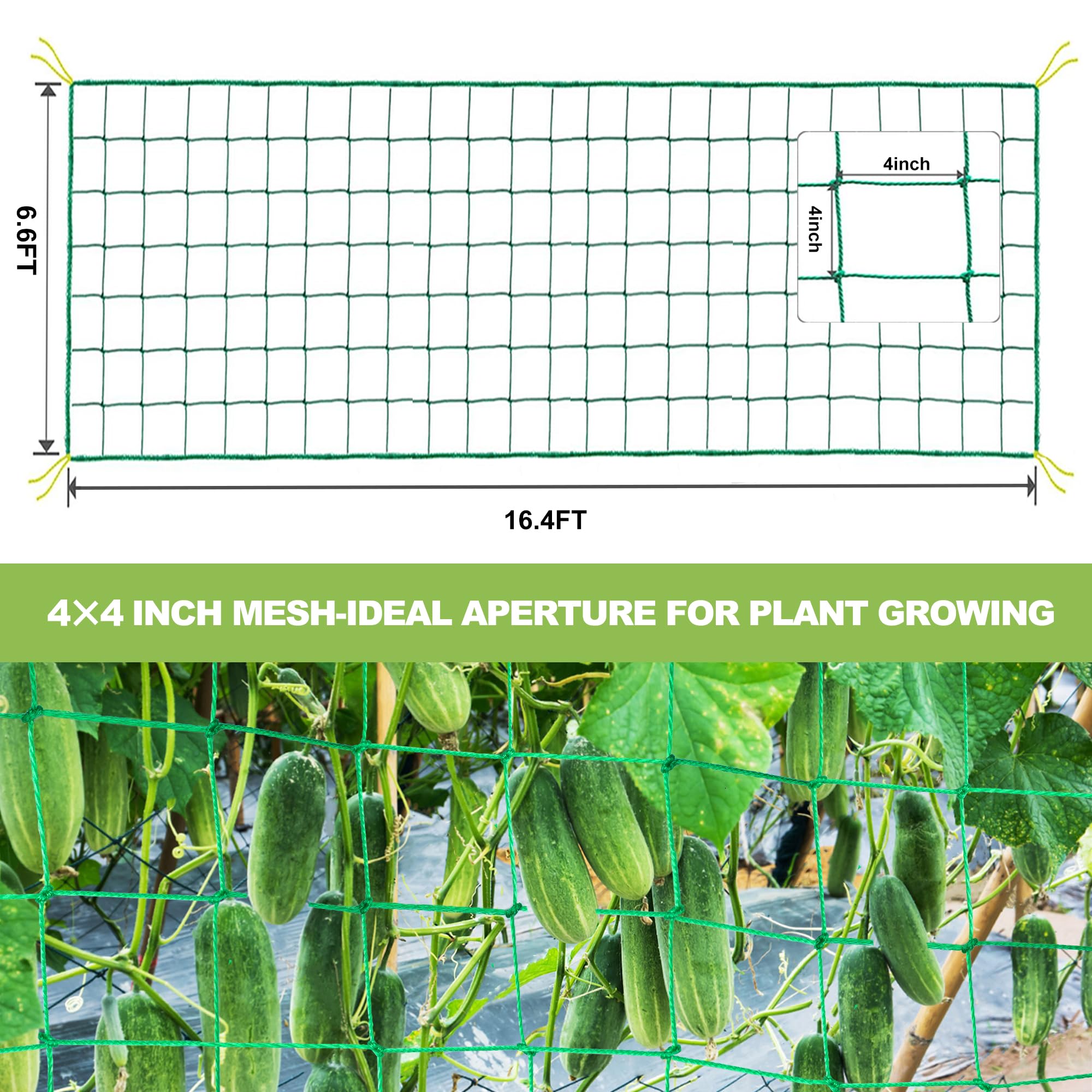 Snapklik.com : Trellis Netting 164x66 Ft Heavy Duty Garden Trellis ...