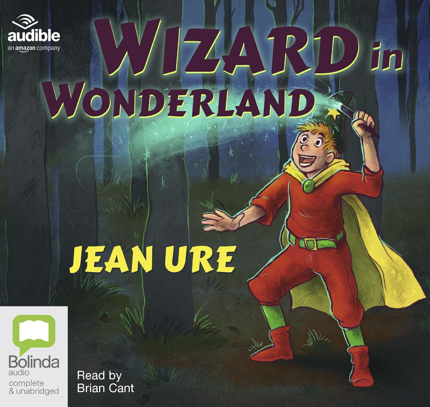 Wizard in Wonderland: 2 (Wizard Trilogy): Ure, Jean: 9781489453983 ...