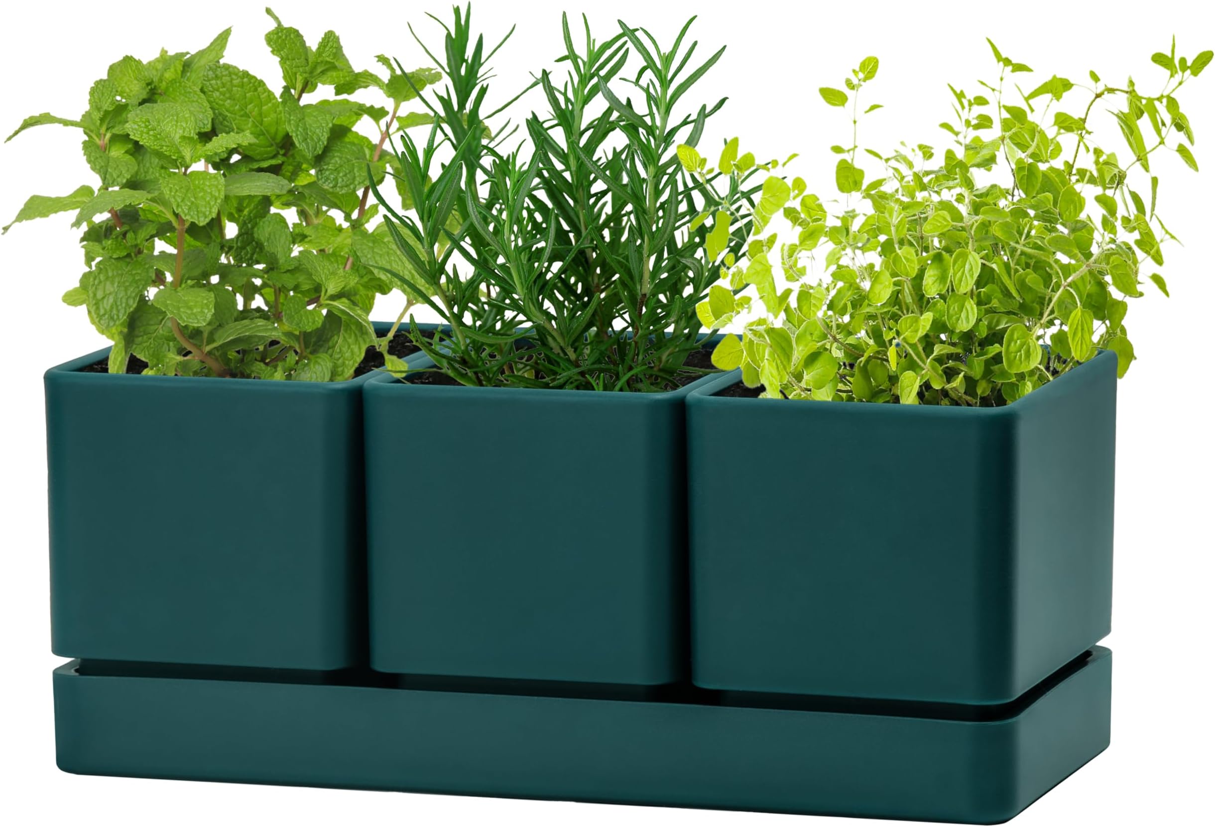Amazon.com : Vego garden Herb Planter Box with Trellis & Mini Planter ...